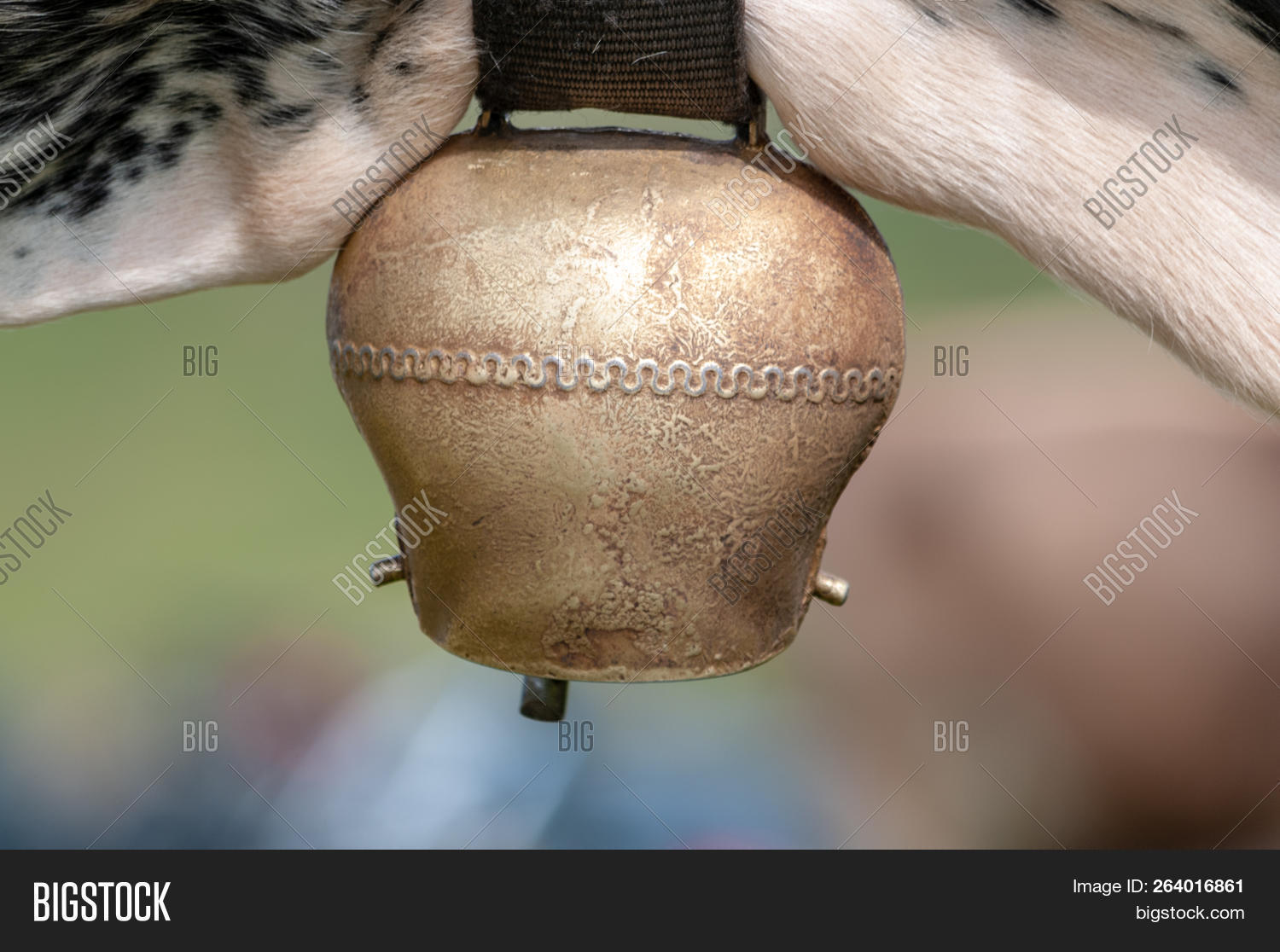 Close- Traditional Image & Photo (Free Trial) | Bigstock