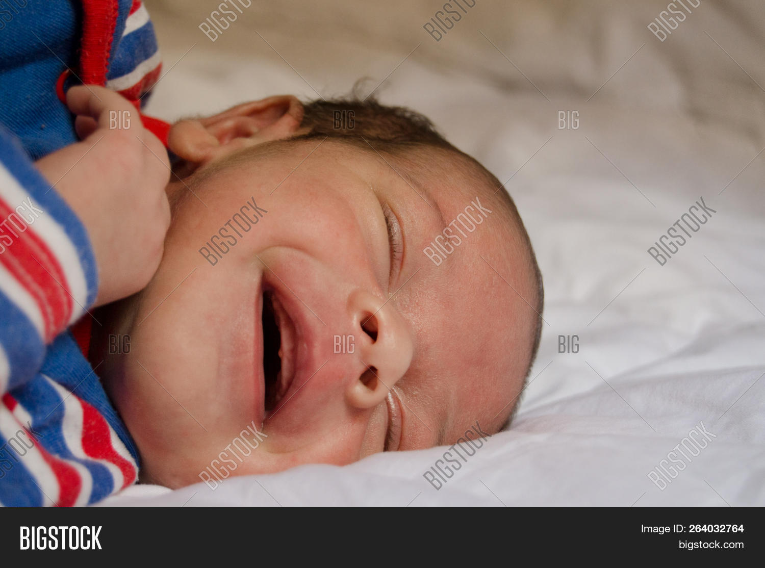 Two Weeks Old Newborn Image & Photo (Free Trial) | Bigstock