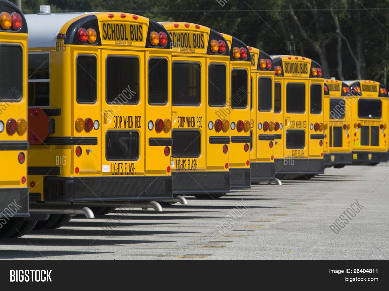 Line School Buses Rear Image & Photo (Free Trial) | Bigstock