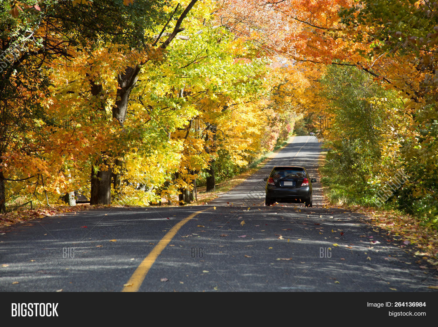 Black Car On Rural Image & Photo (Free Trial) | Bigstock