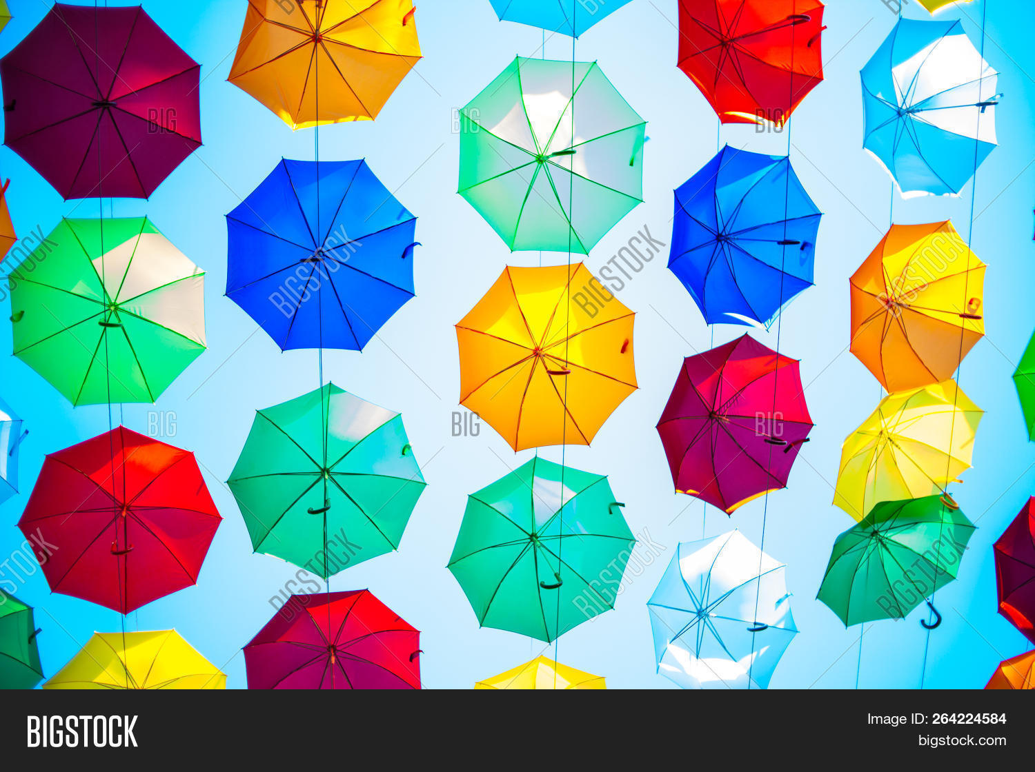 Colorful Umbrella Image & Photo (Free Trial) | Bigstock