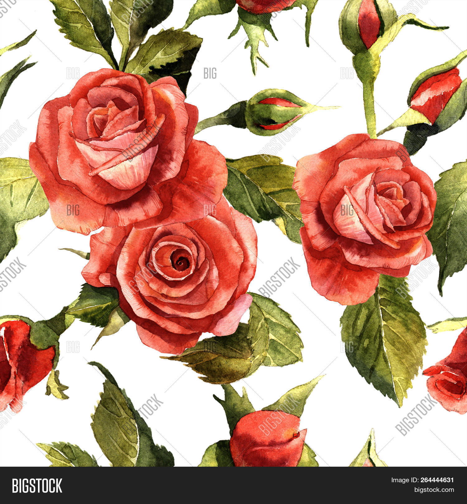 Watercolor Red Rose Image & Photo (Free Trial) | Bigstock
