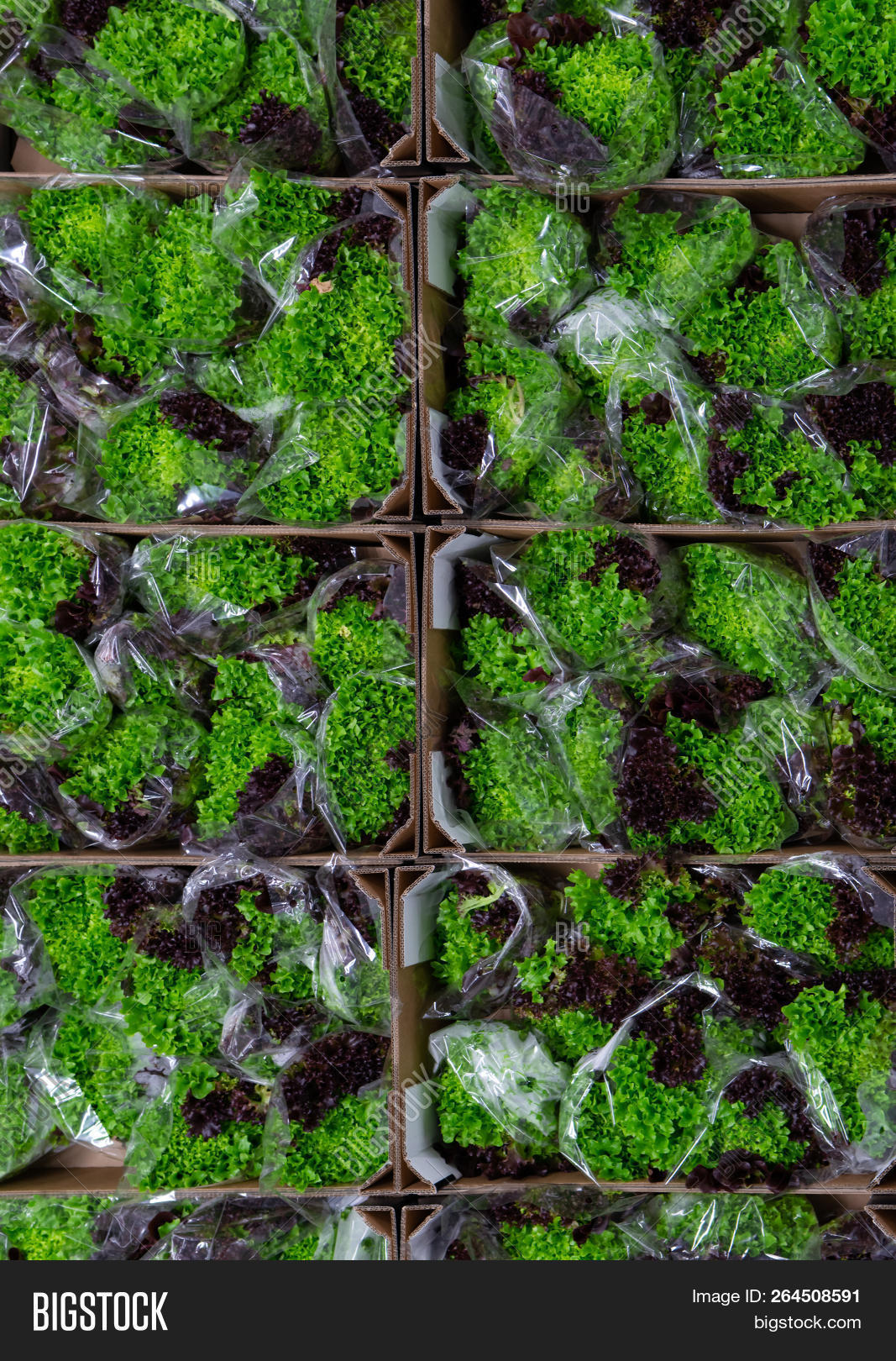 Cold Storage Fresh Image & Photo (Free Trial) | Bigstock