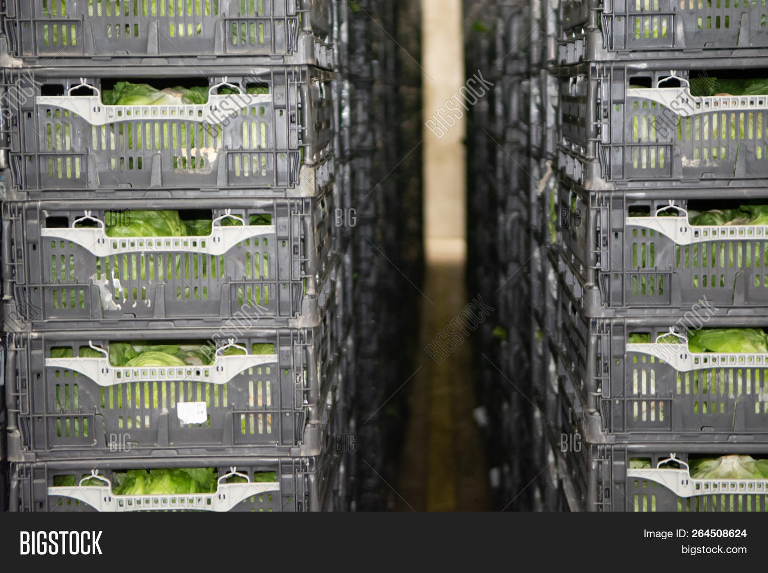 Cold Storage Fresh Image & Photo (Free Trial) | Bigstock