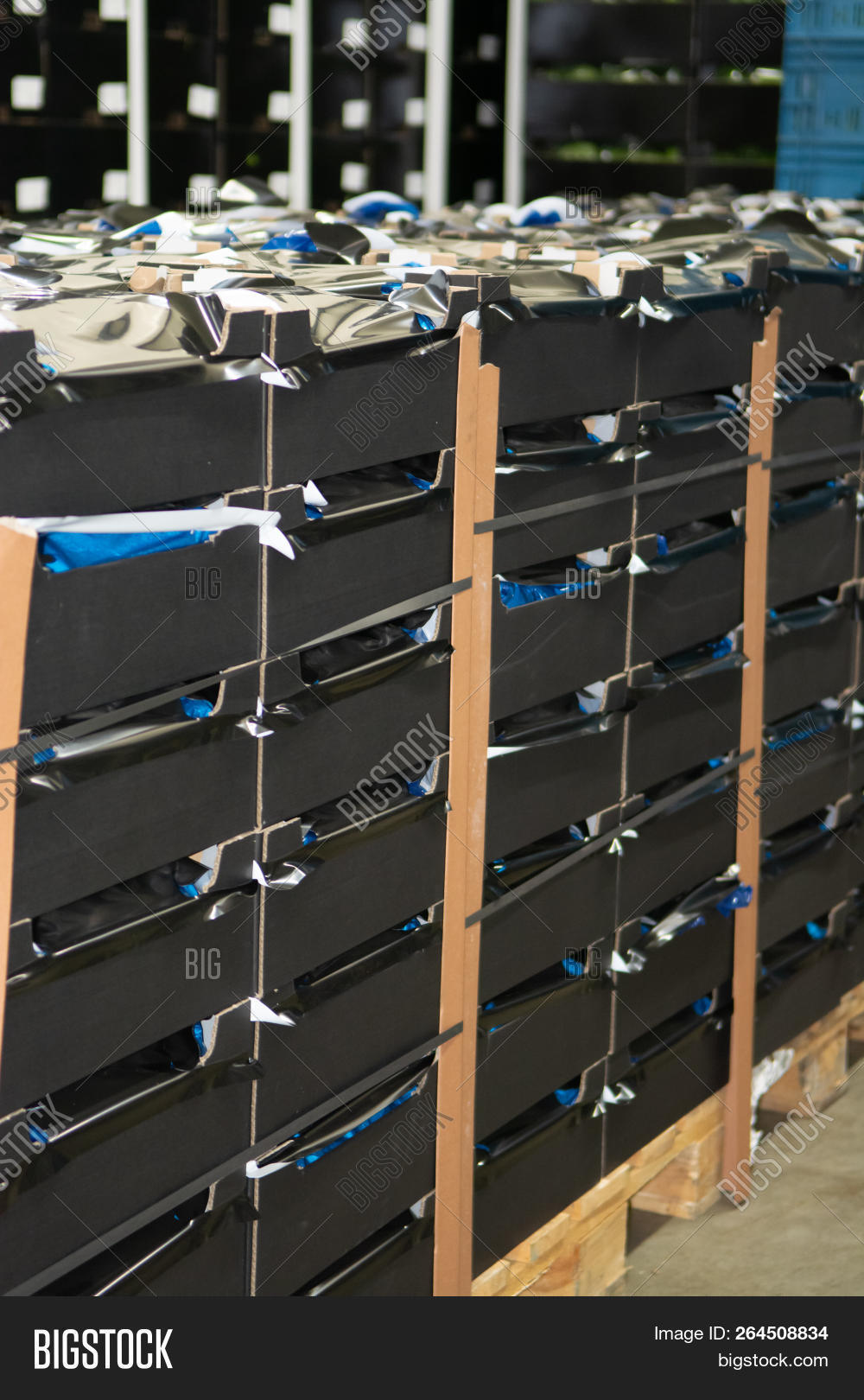 Cold Storage Dark Image & Photo (Free Trial) | Bigstock