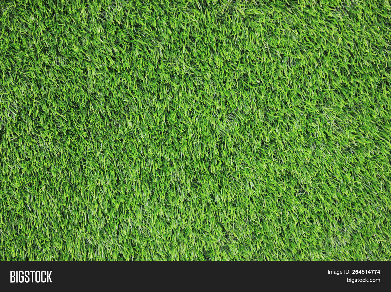 Green Grass Texture Image & Photo (Free Trial) | Bigstock