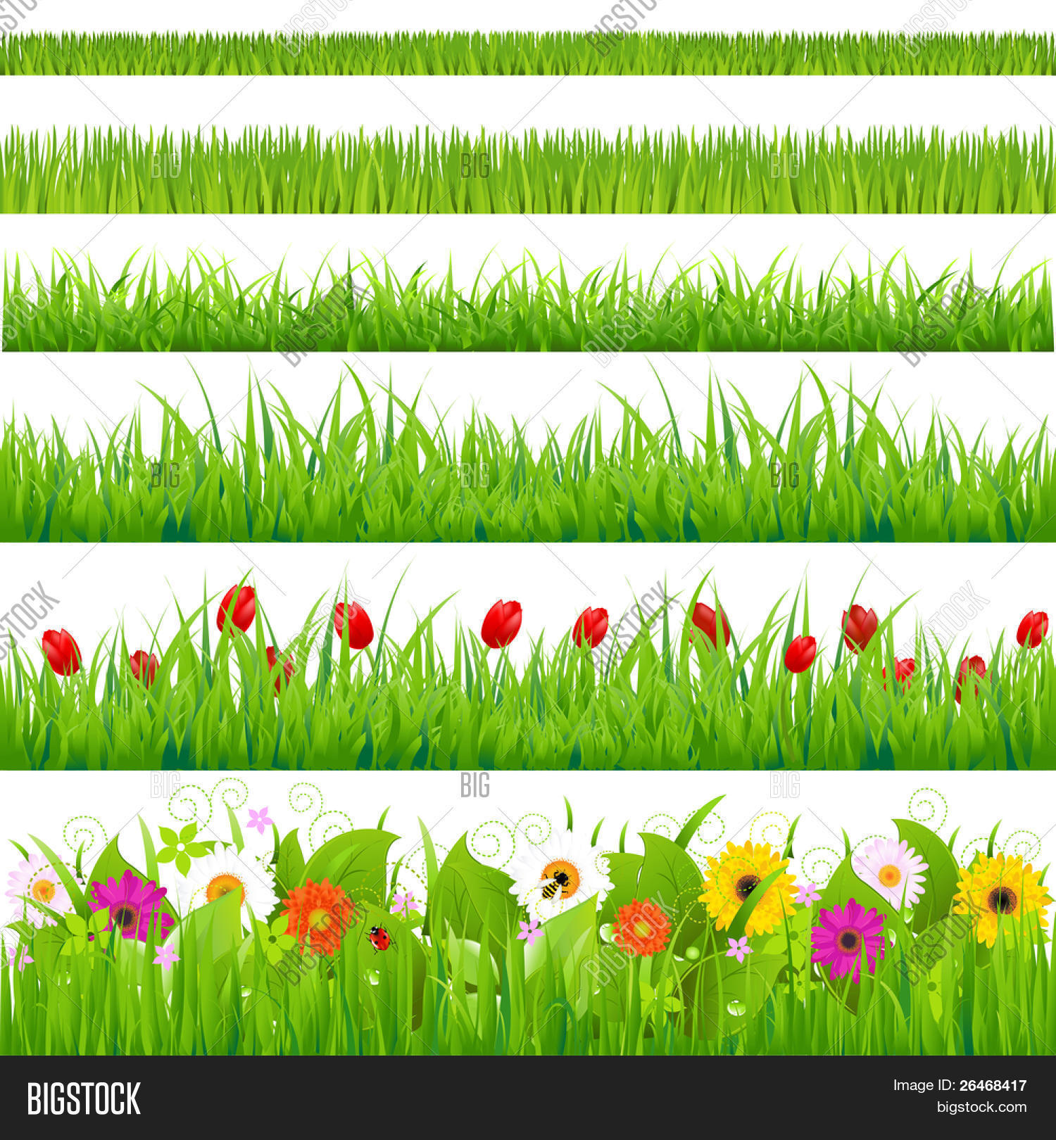 Big Grass Flower Set Vector & Photo (Free Trial) | Bigstock