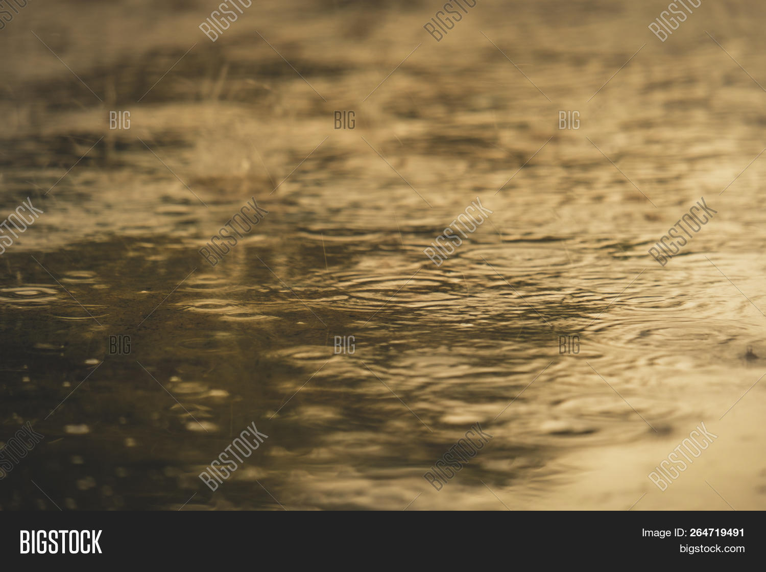 Vintage Color Tone Image & Photo (Free Trial) | Bigstock