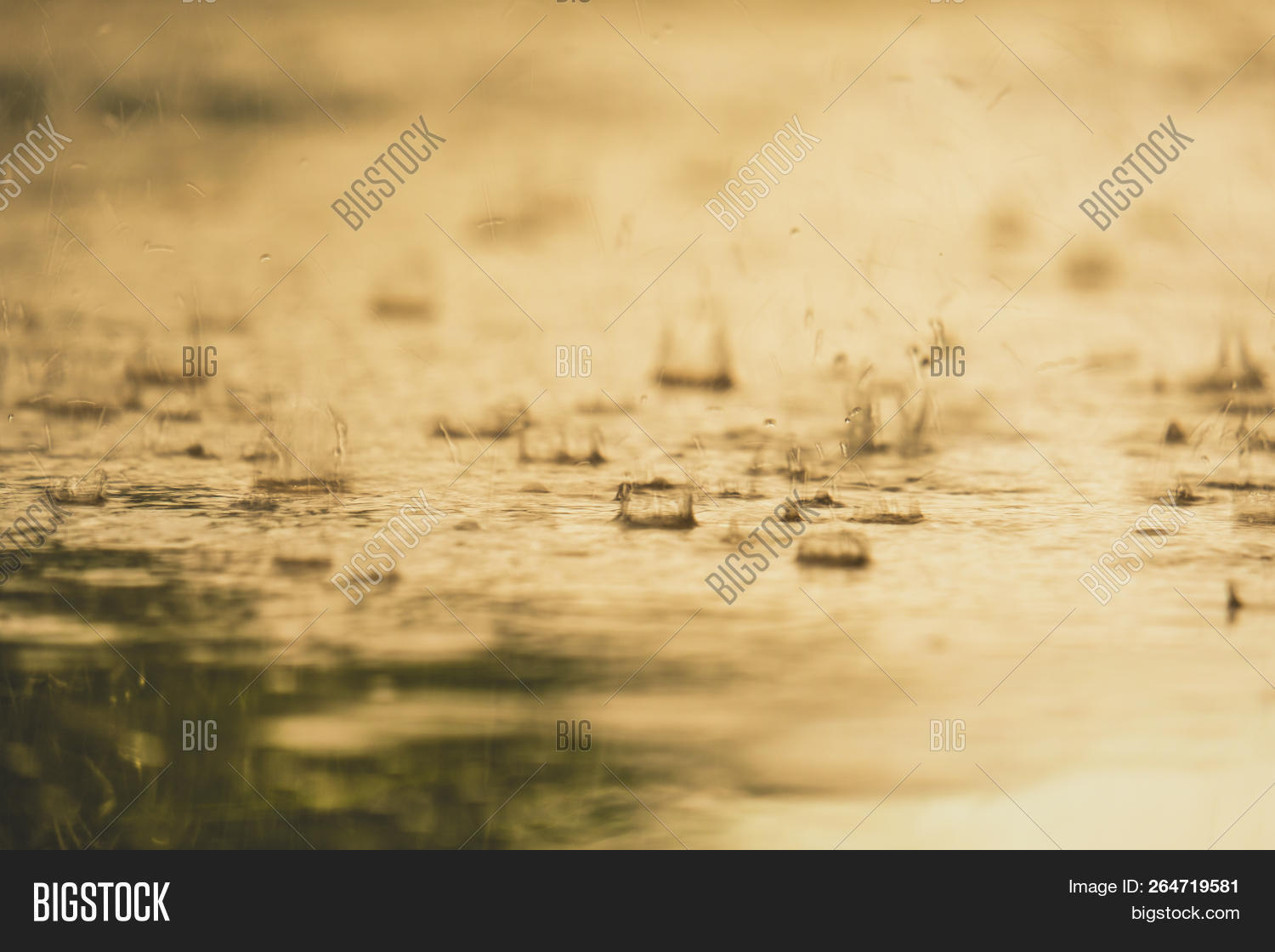 Vintage Color Tone Image & Photo (Free Trial) | Bigstock