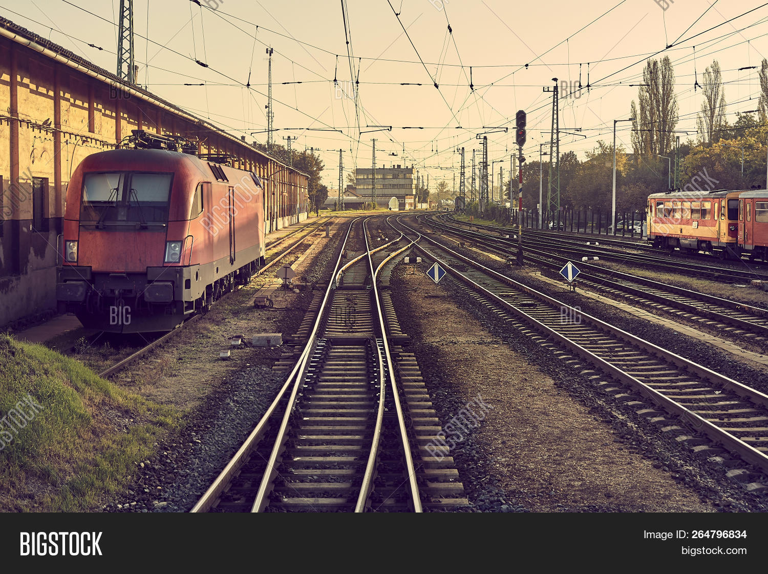 Many Railway Tracks Image & Photo (Free Trial) | Bigstock