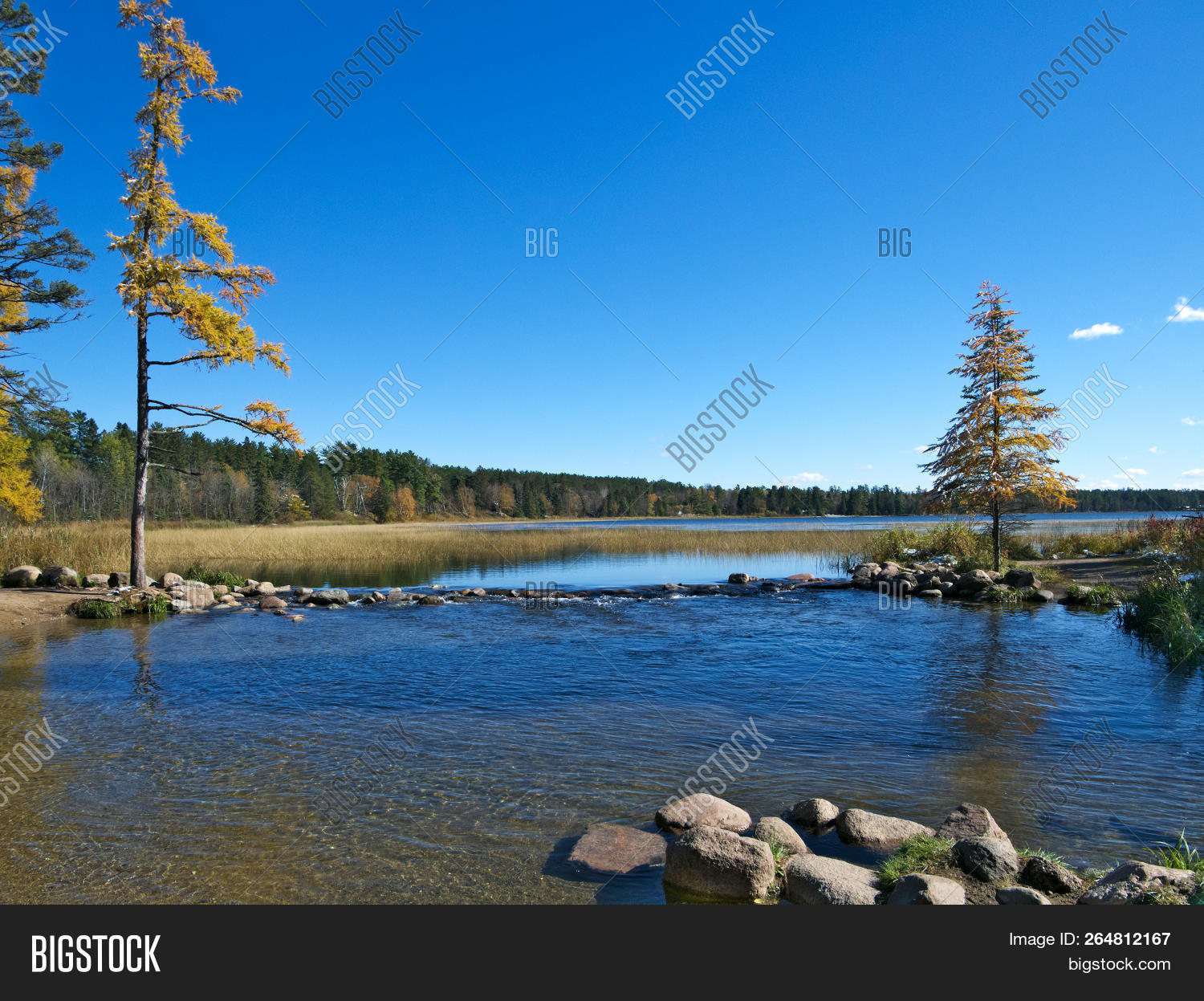 Lake Itasca Held Image & Photo (Free Trial) | Bigstock