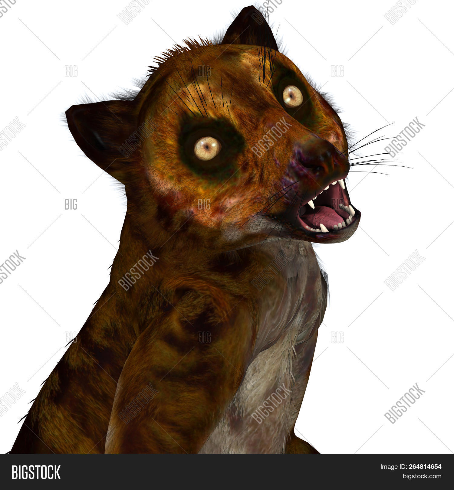 Darwinius Primate Head Image & Photo (Free Trial) | Bigstock