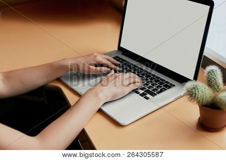 Woman Typing On Her Image & Photo (Free Trial) | Bigstock
