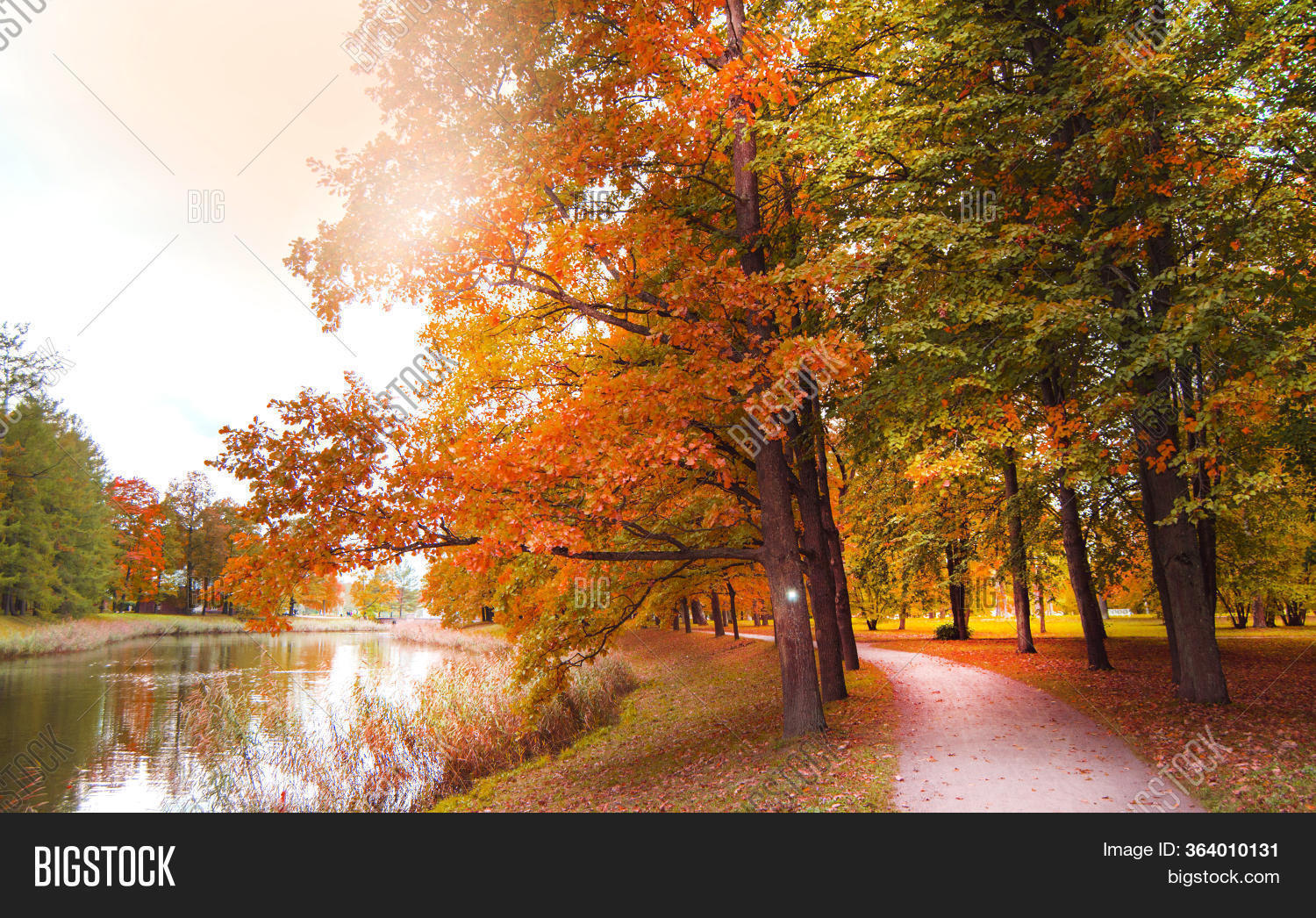 Autumn City Park, Image & Photo (Free Trial) | Bigstock