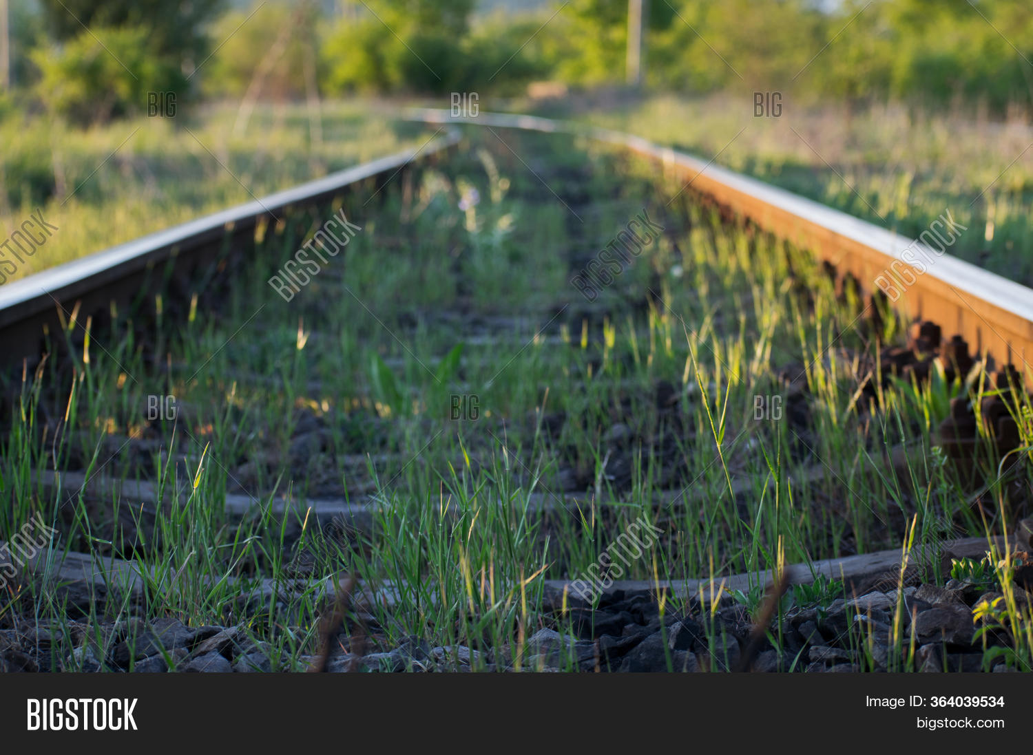Railway Vegetation. Image & Photo (Free Trial) | Bigstock