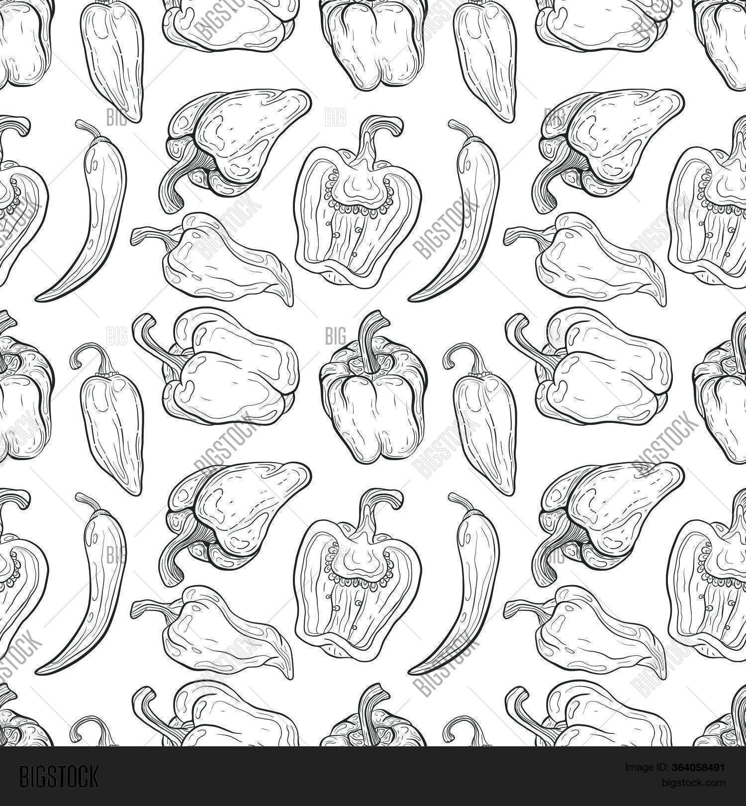 Pepper Pattern Set Vector & Photo (Free Trial) | Bigstock