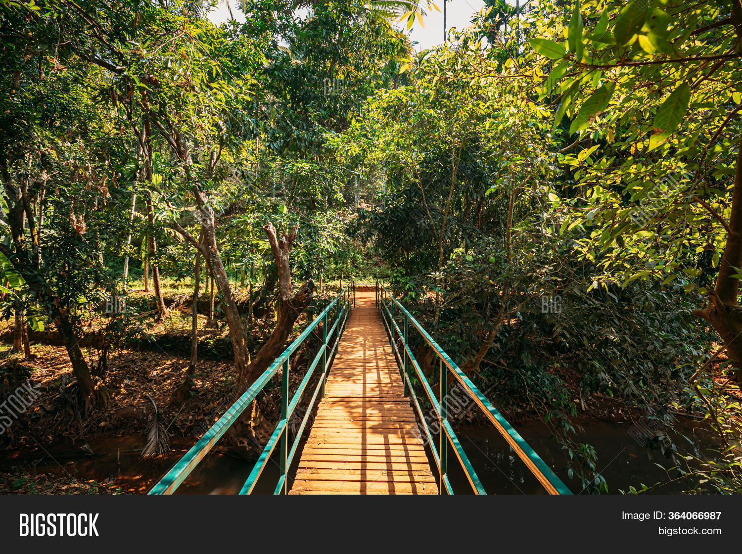 Goa, India. View Small Image & Photo (Free Trial) | Bigstock
