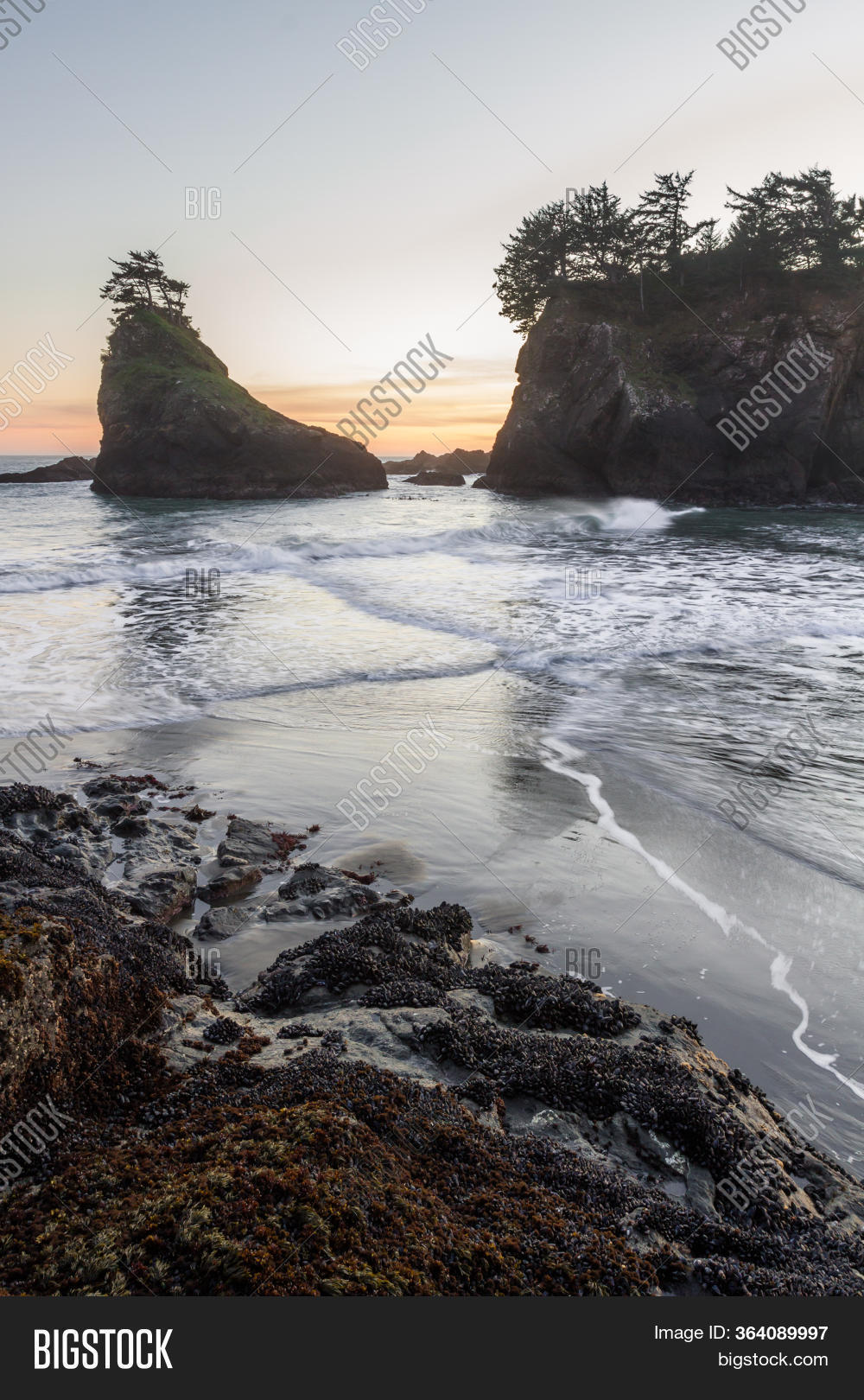 Secret Beach, Oregon Image & Photo (Free Trial) | Bigstock