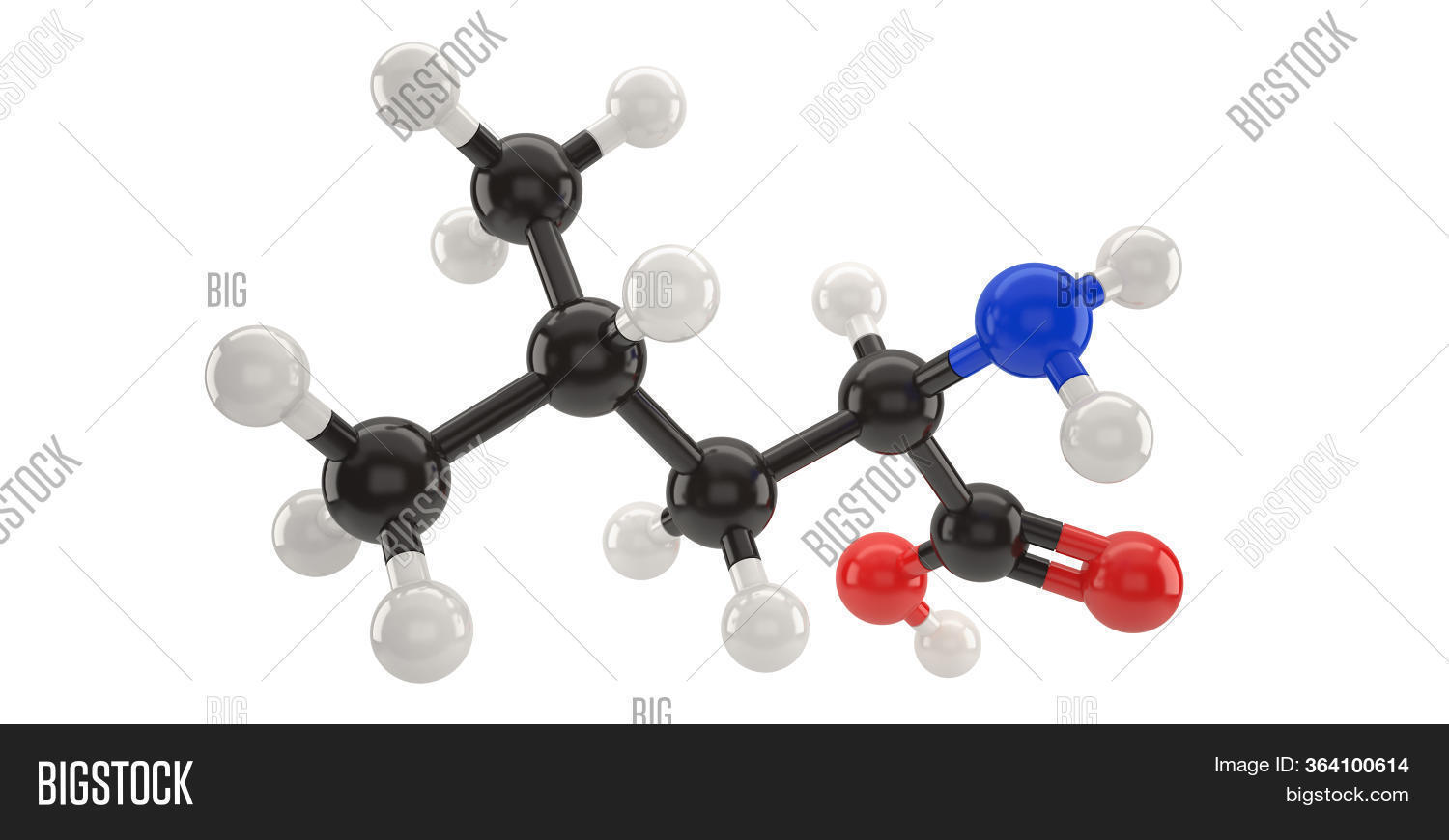 Leucine Molecule Image & Photo (Free Trial) | Bigstock