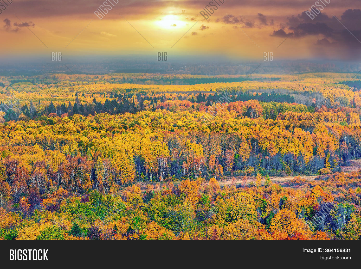 Dramatic Autumn Image & Photo (Free Trial) | Bigstock