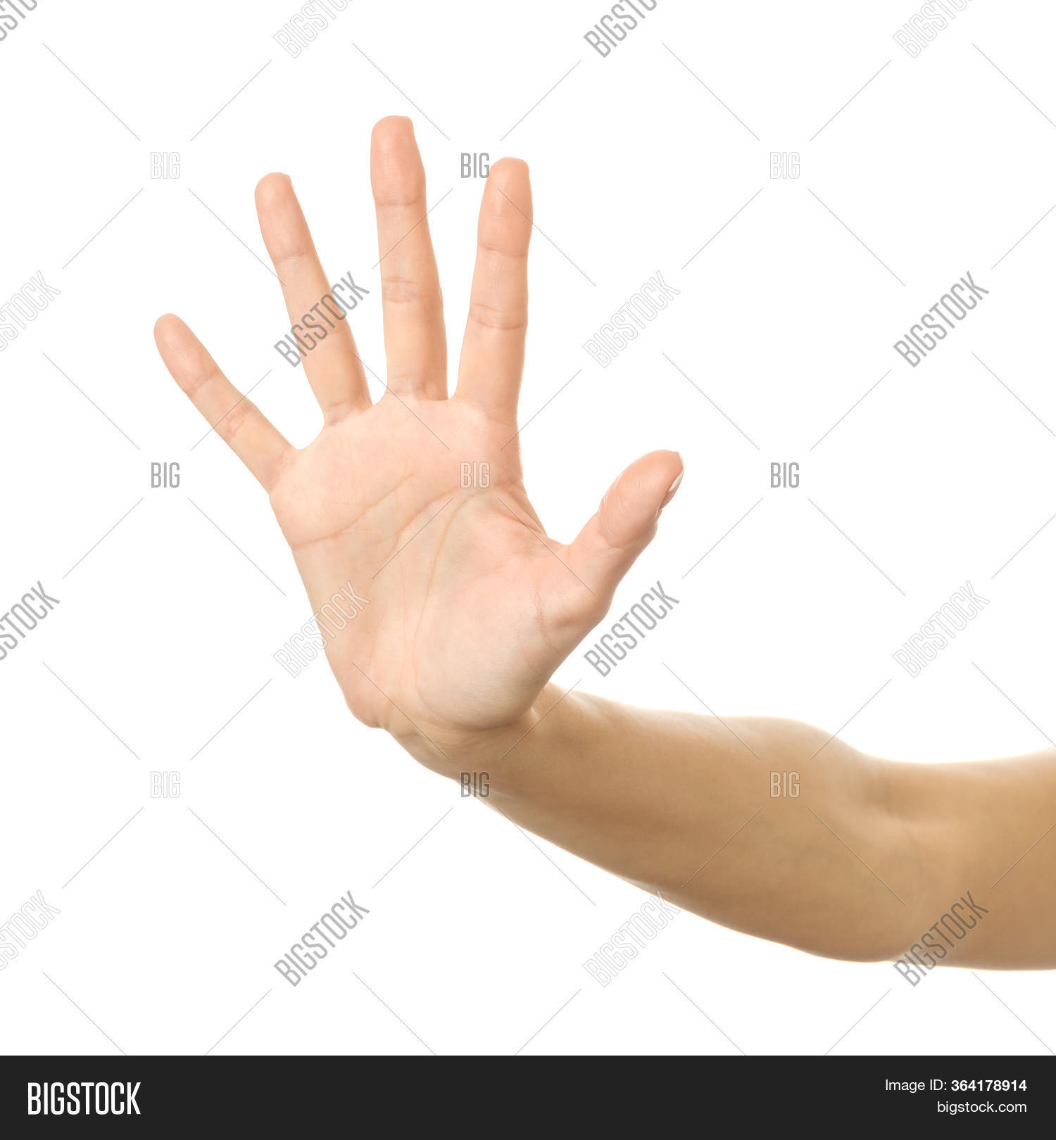 Stop ! Woman Hand Image & Photo (Free Trial) | Bigstock