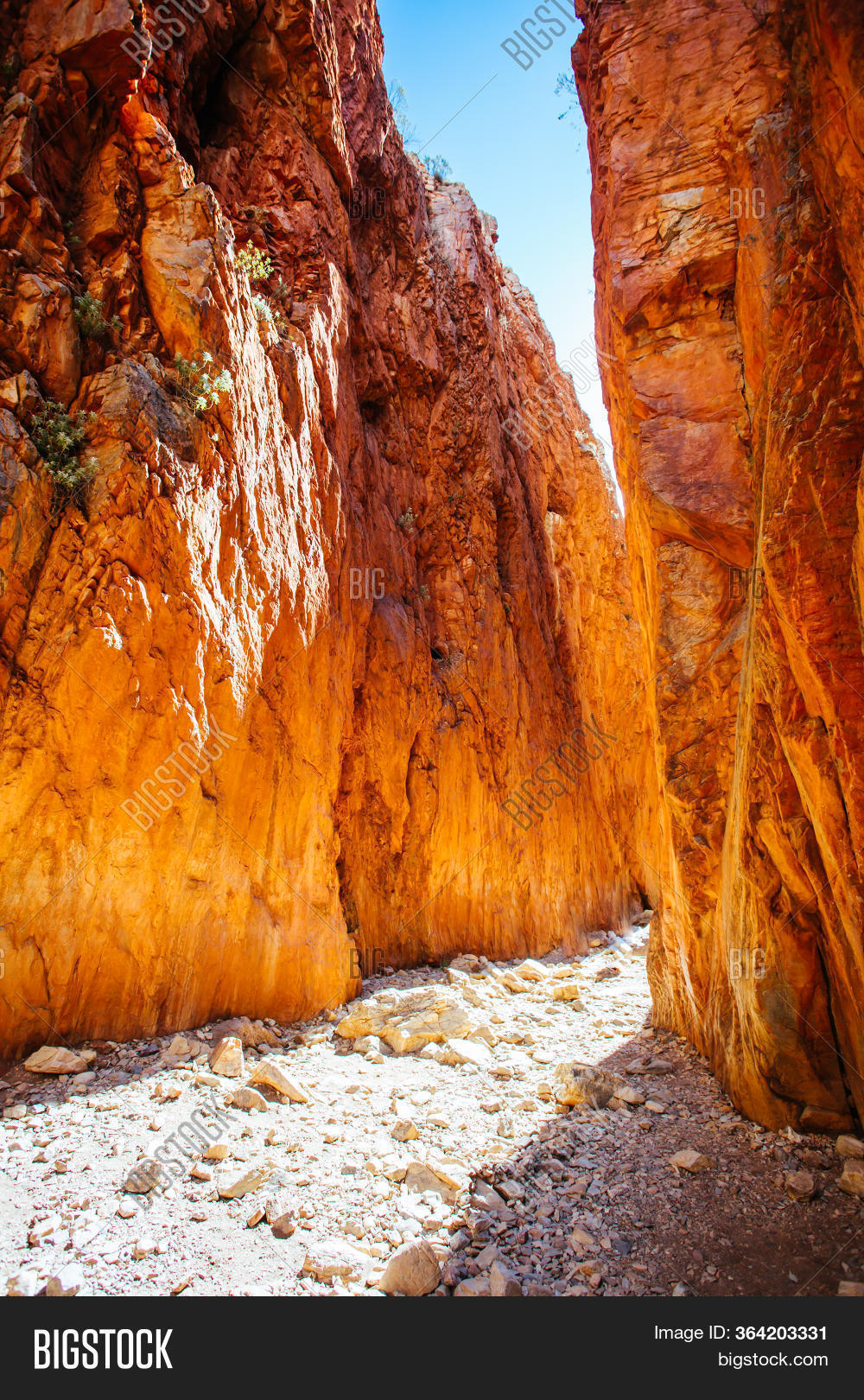 Standley Chasm Near Image & Photo (Free Trial) | Bigstock