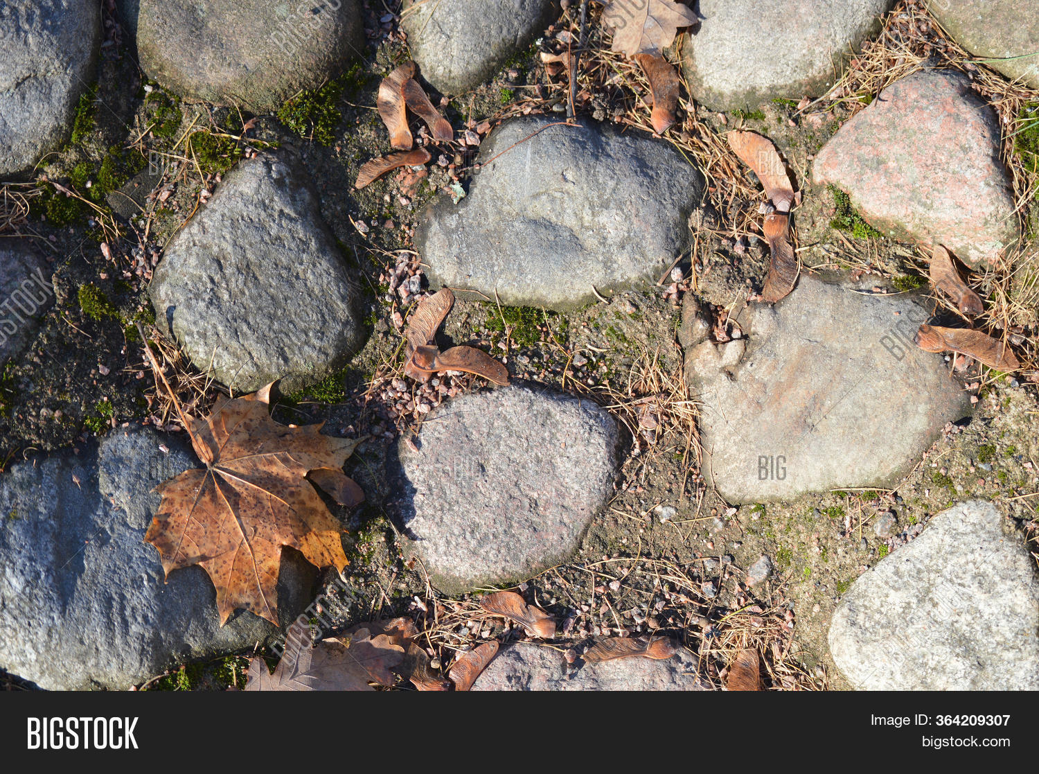 Old Cobble-stone Road Image & Photo (Free Trial) | Bigstock