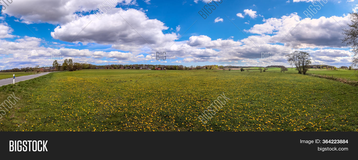 Green Field Landscape Image & Photo (Free Trial) | Bigstock