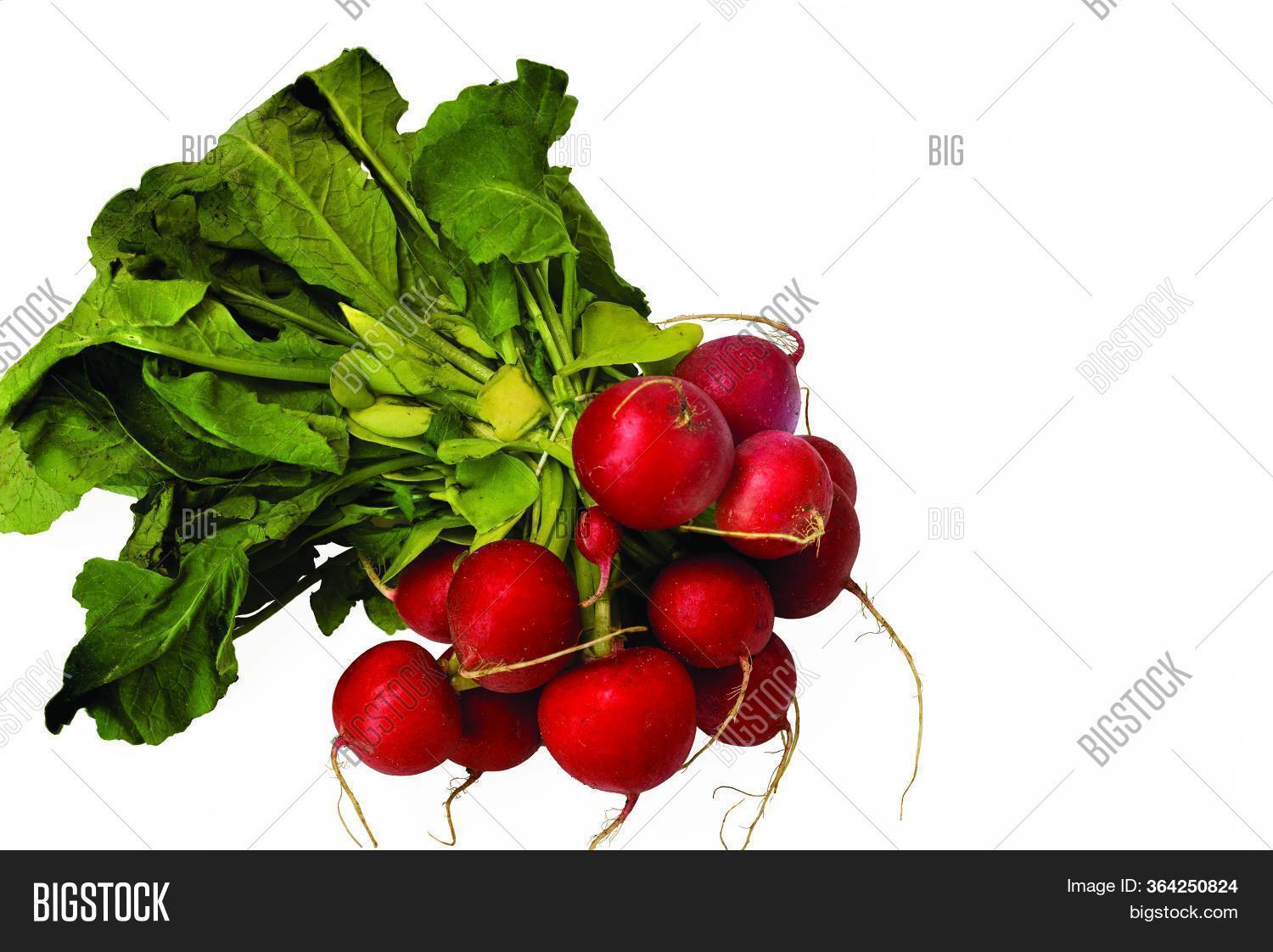Close View Red Radish Image & Photo (Free Trial) | Bigstock