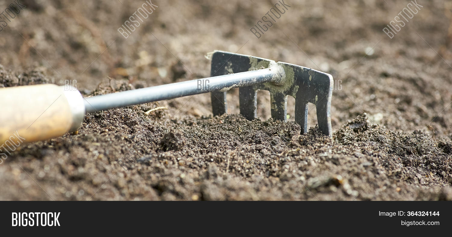 Old Rake On Background Image & Photo (Free Trial) | Bigstock