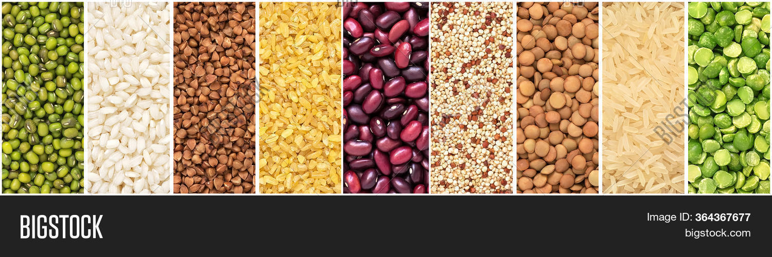 Collage Various Grains Image & Photo (Free Trial) | Bigstock