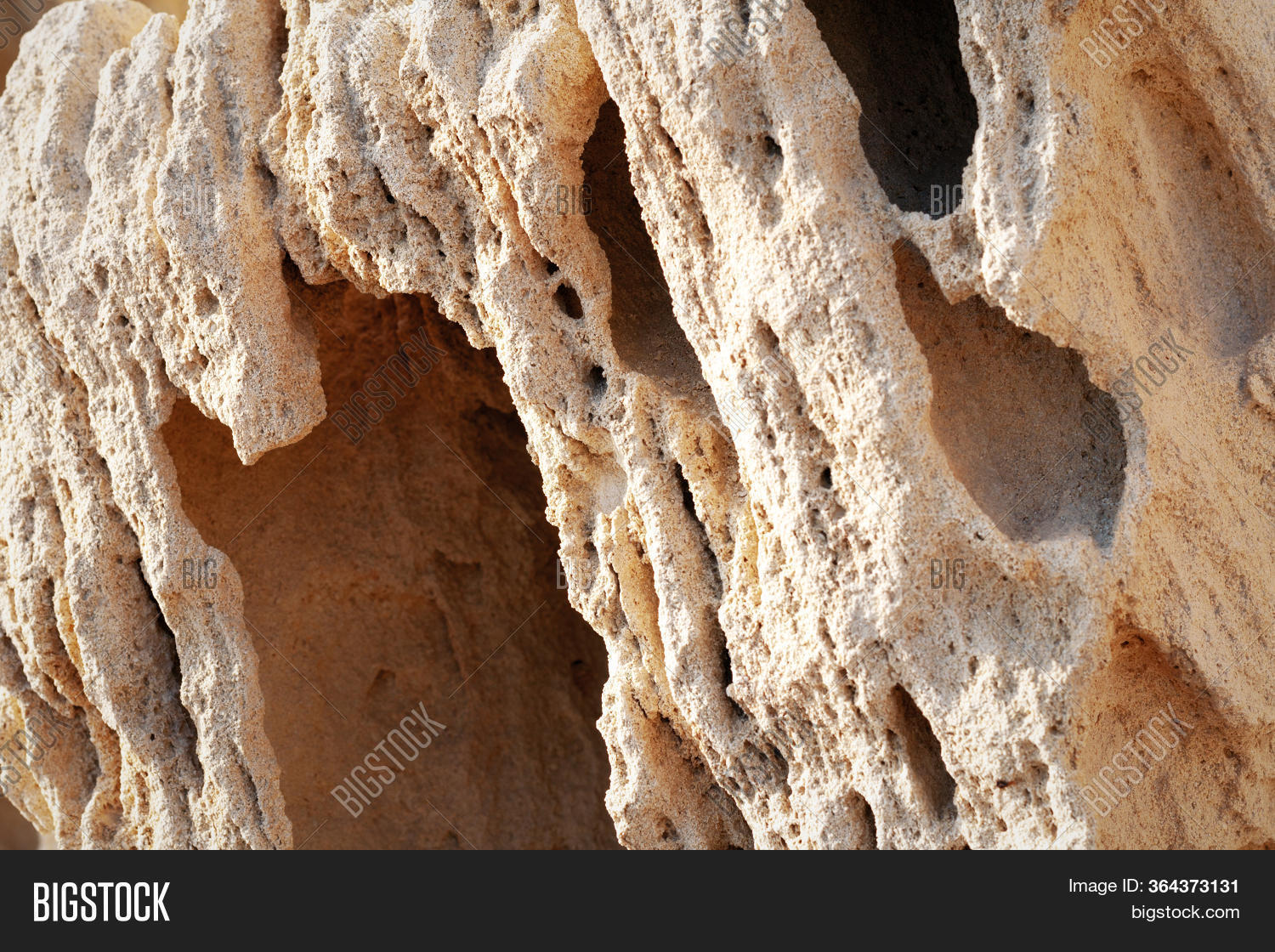 Surface Sandy Rock. Image & Photo (Free Trial) | Bigstock