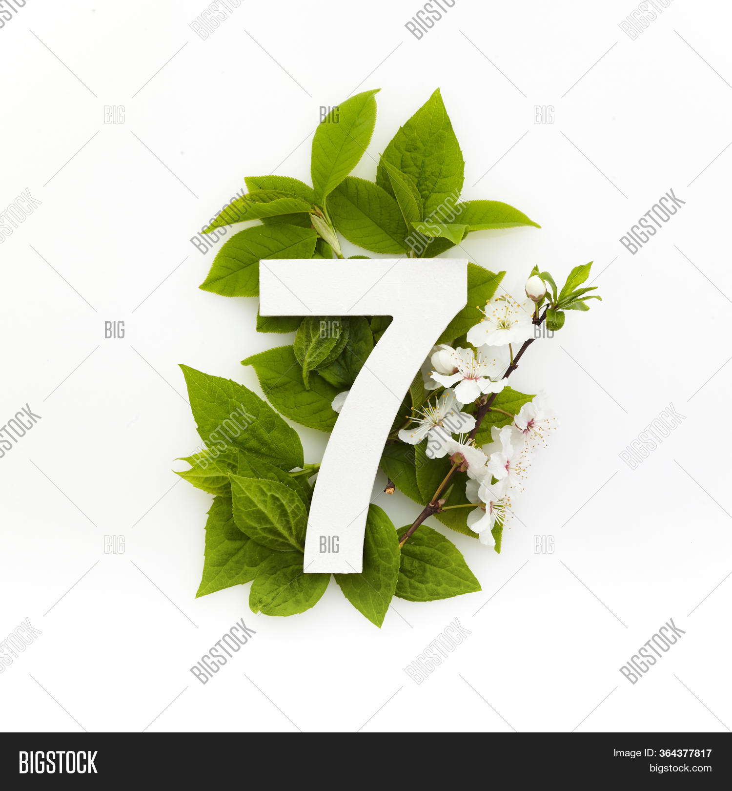 Number Seven Green Image & Photo (Free Trial) | Bigstock