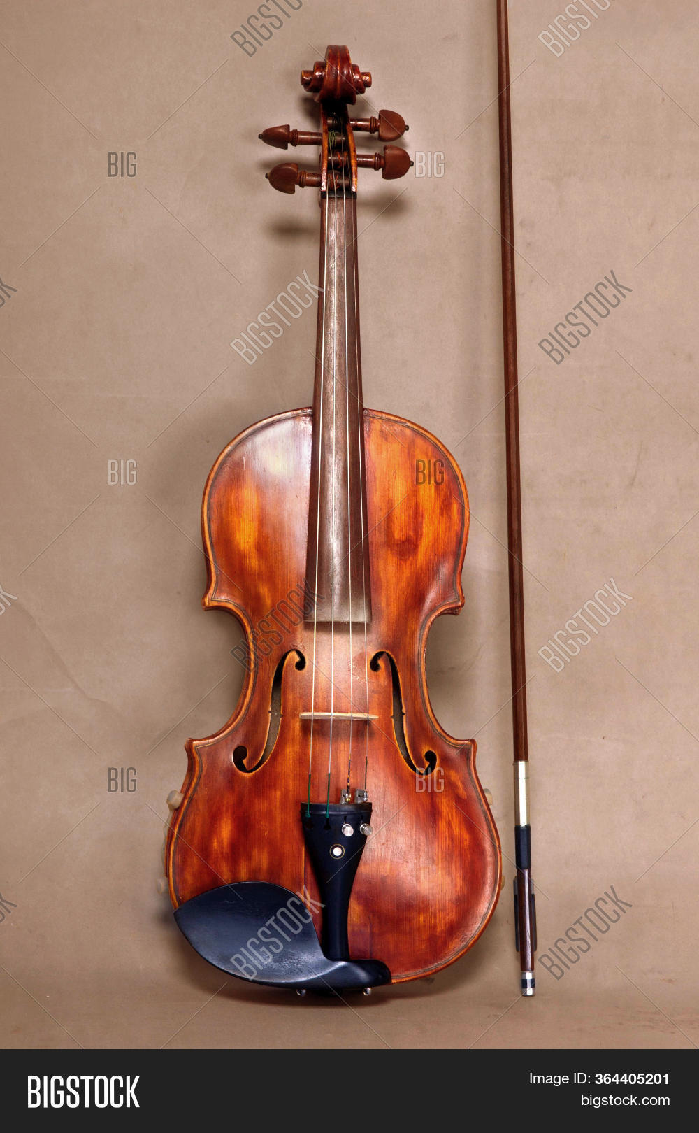 Violin Musical Image & Photo (Free Trial) | Bigstock