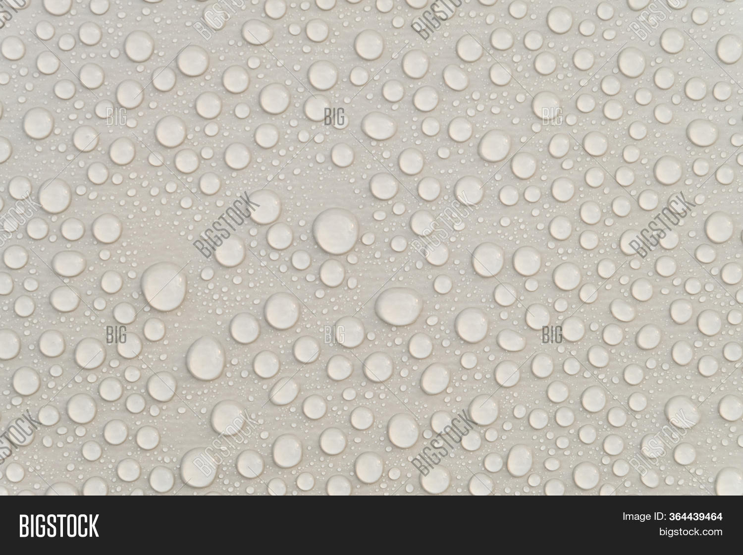 Waterproofing Stain Image & Photo (Free Trial) | Bigstock