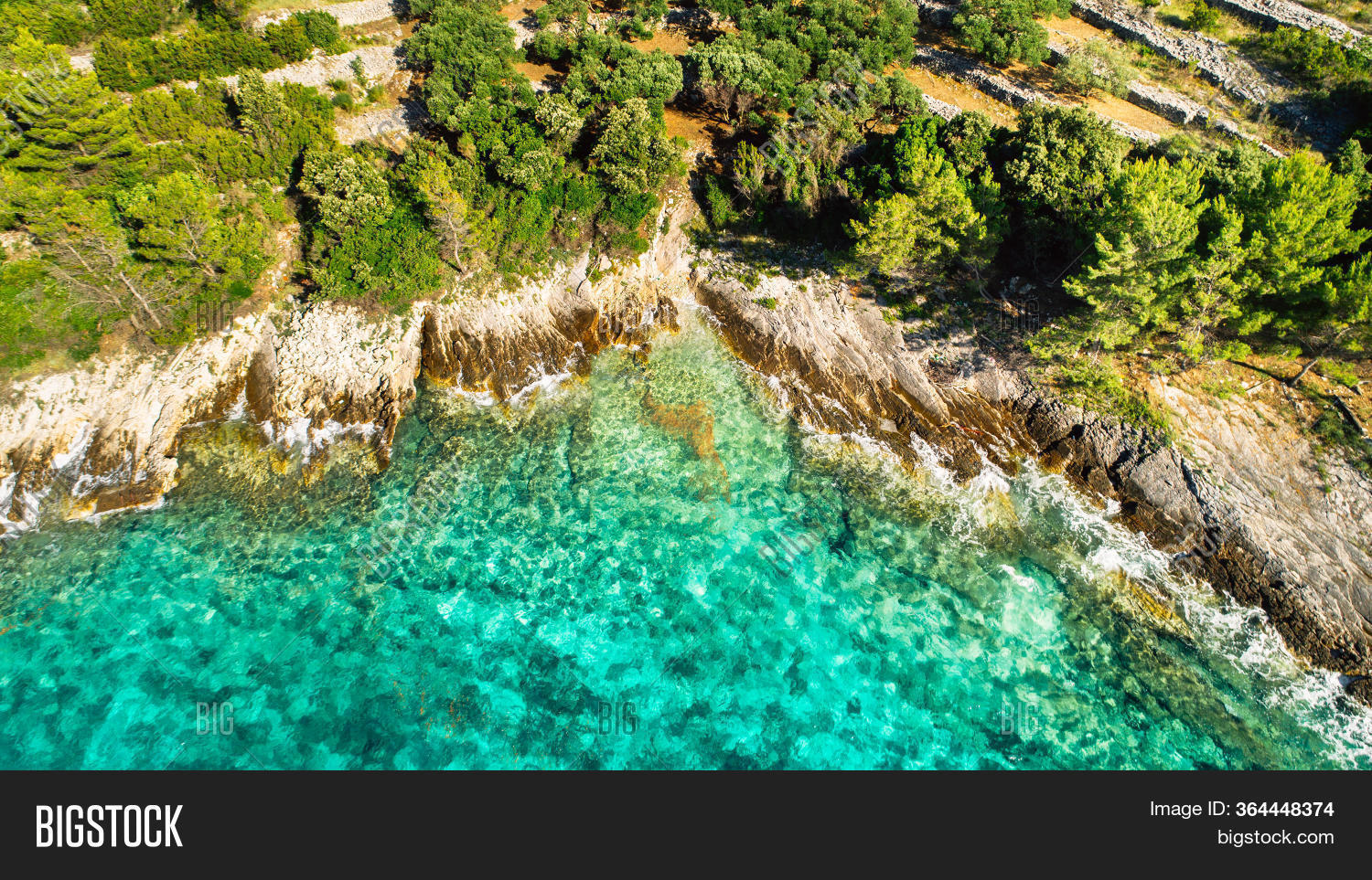 Crystal Clear Tropical Image & Photo (Free Trial) | Bigstock