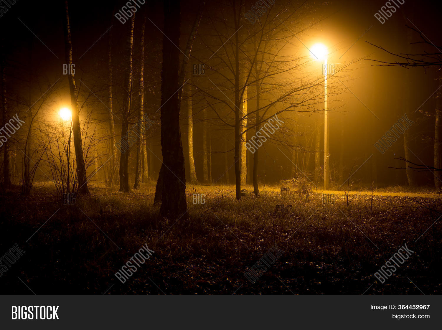Walking Path Through Image & Photo (Free Trial) | Bigstock