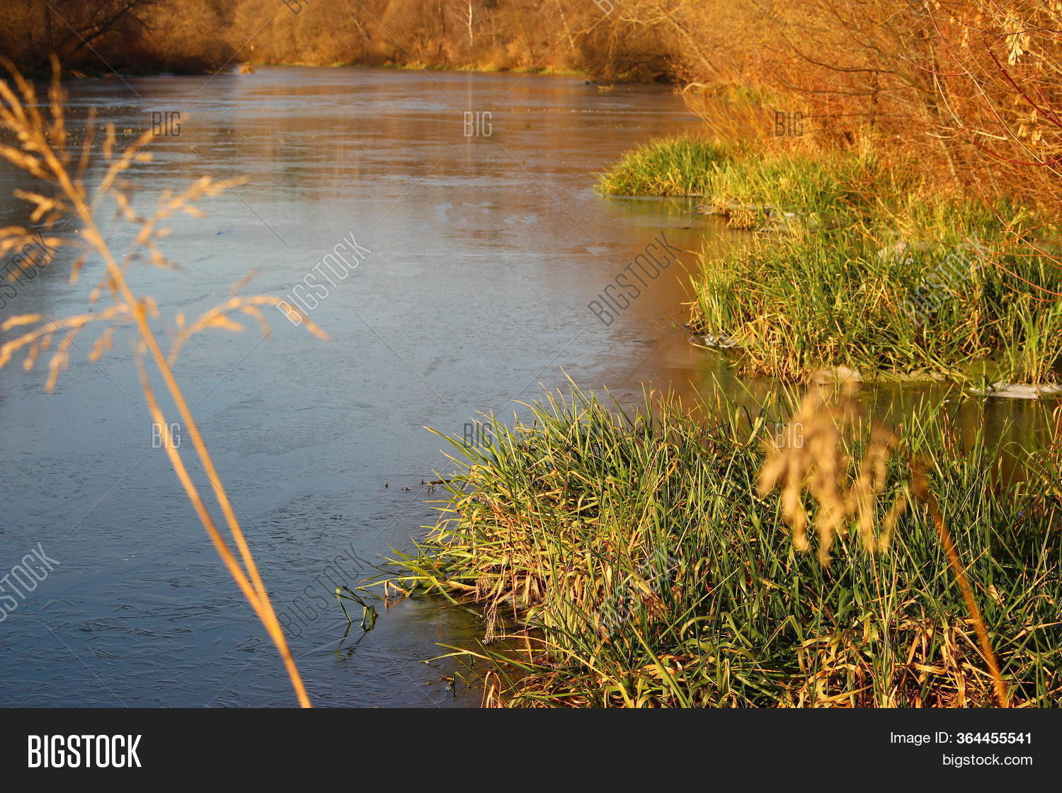 Overgrown River Bank Image & Photo (Free Trial) | Bigstock