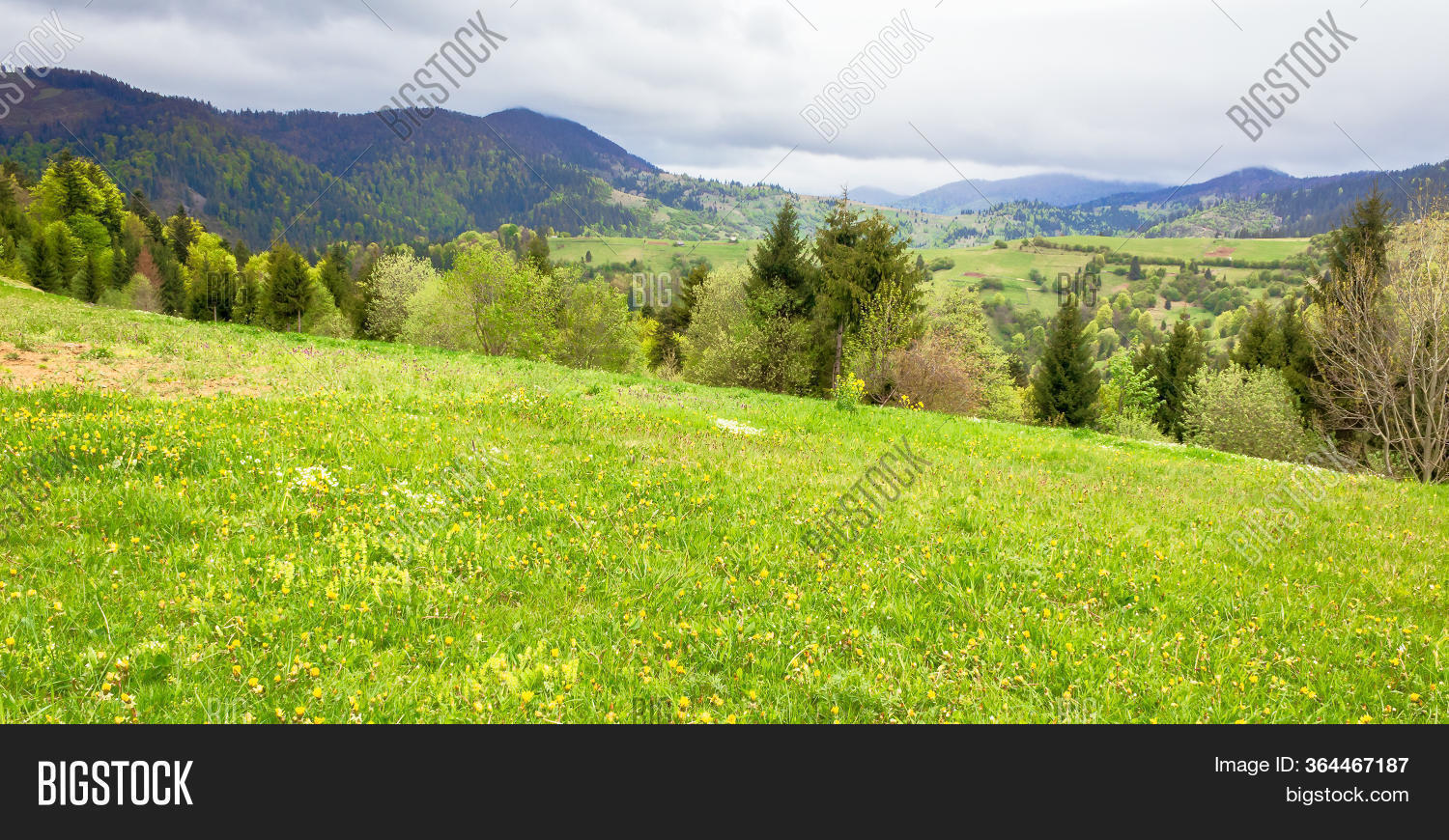 Green Meadows Image & Photo (Free Trial) | Bigstock