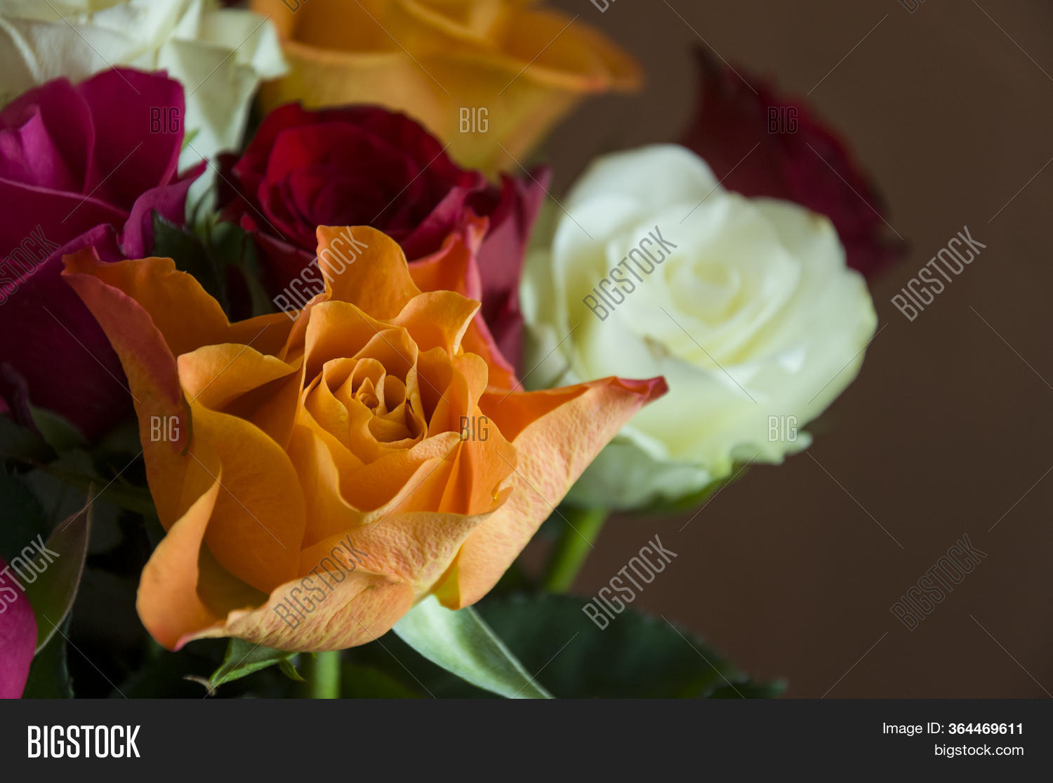 Lovely Big Colorful Image & Photo (Free Trial) | Bigstock