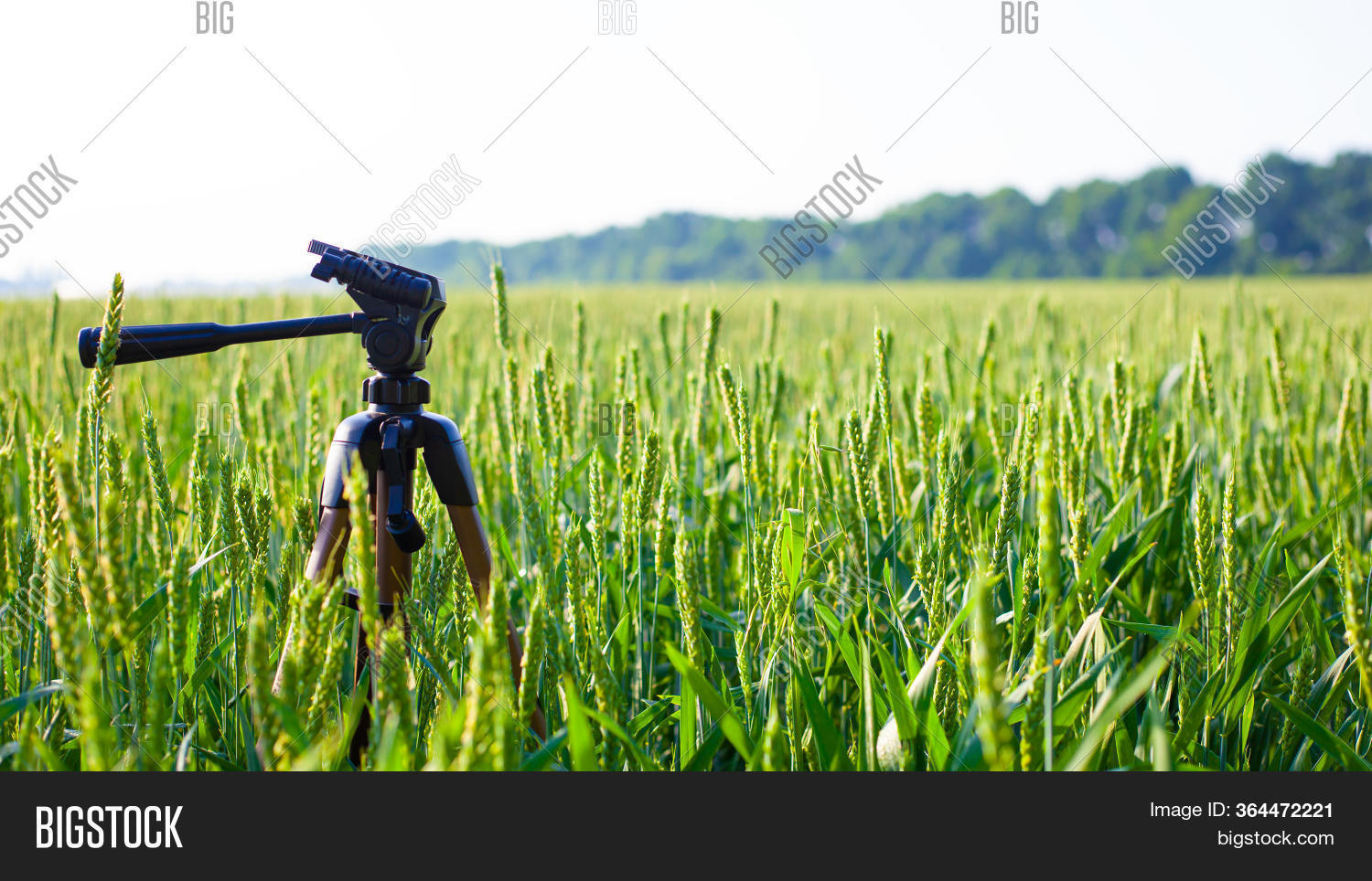 Tripod Field Planted Image & Photo (Free Trial) | Bigstock