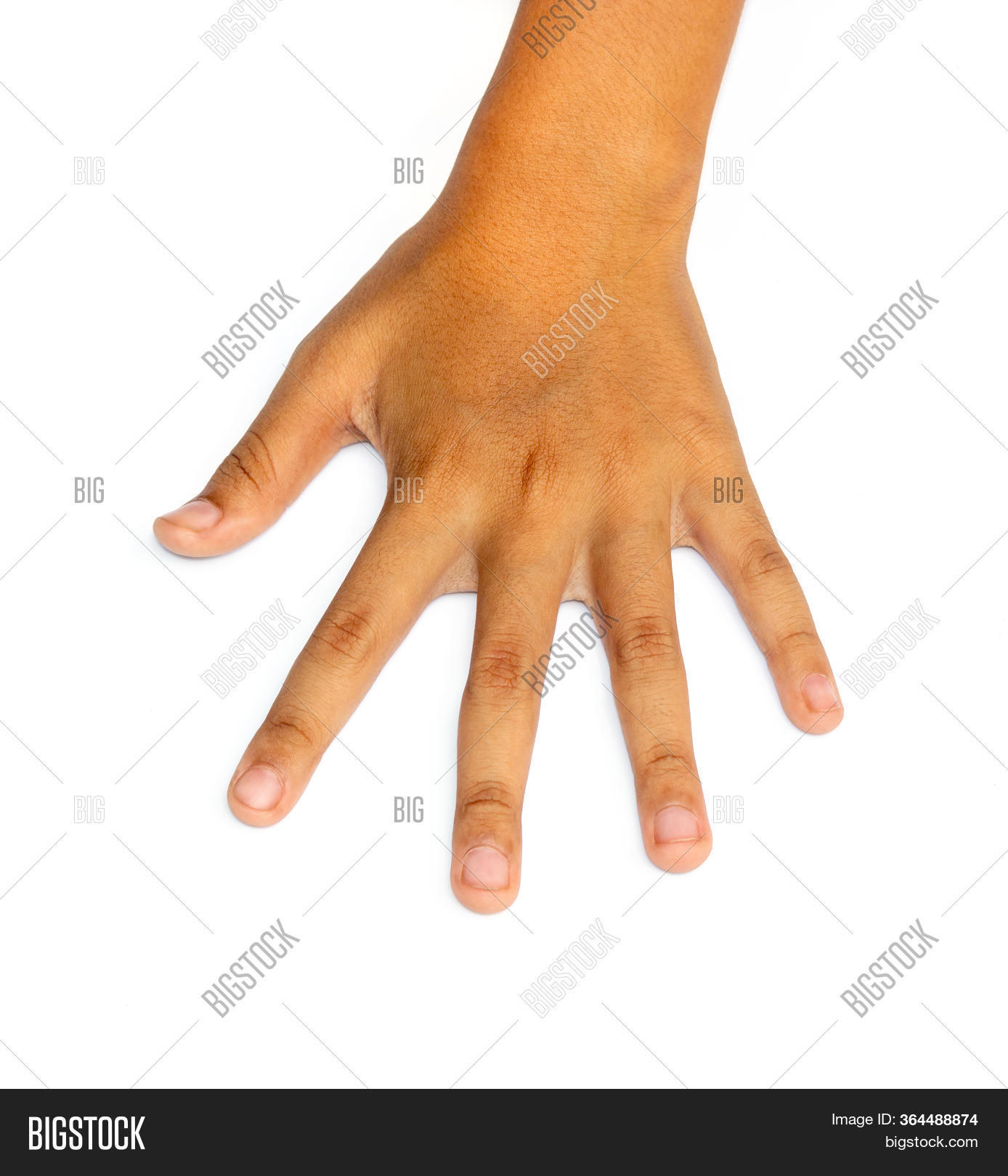 Close- Hand Isolated Image & Photo (Free Trial) | Bigstock