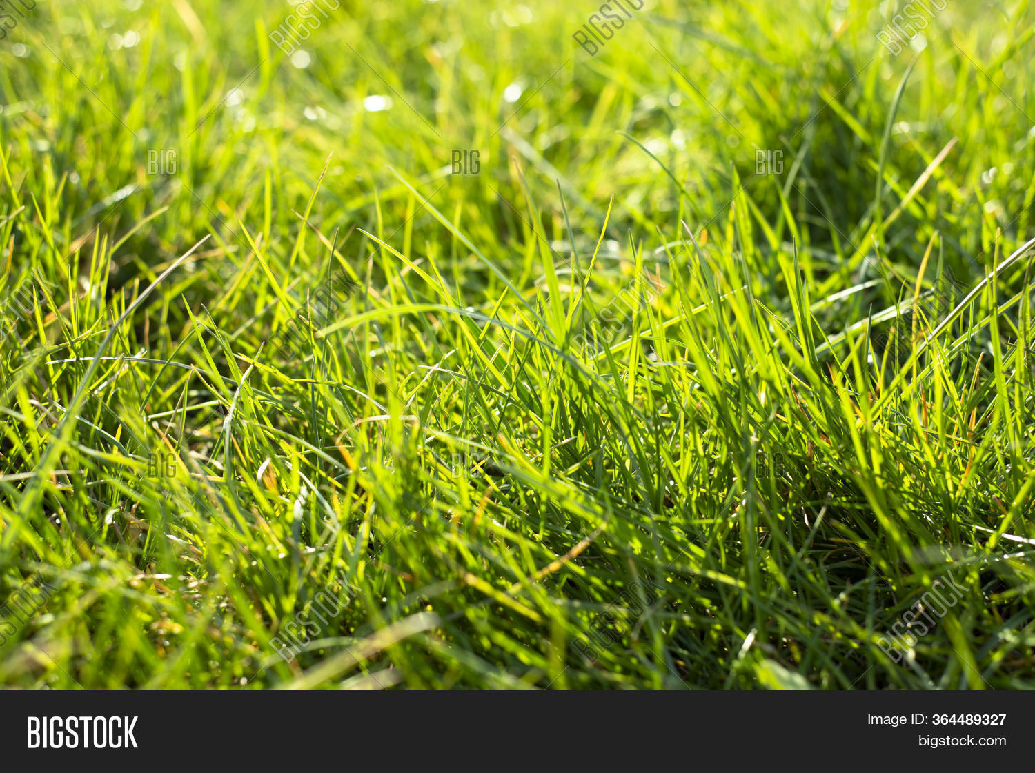 Side View On Long Image & Photo (Free Trial) | Bigstock