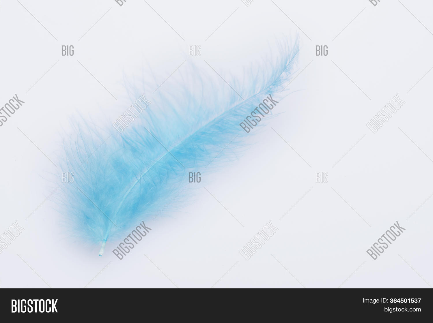 Feather Blue Bird On Image & Photo (Free Trial) | Bigstock