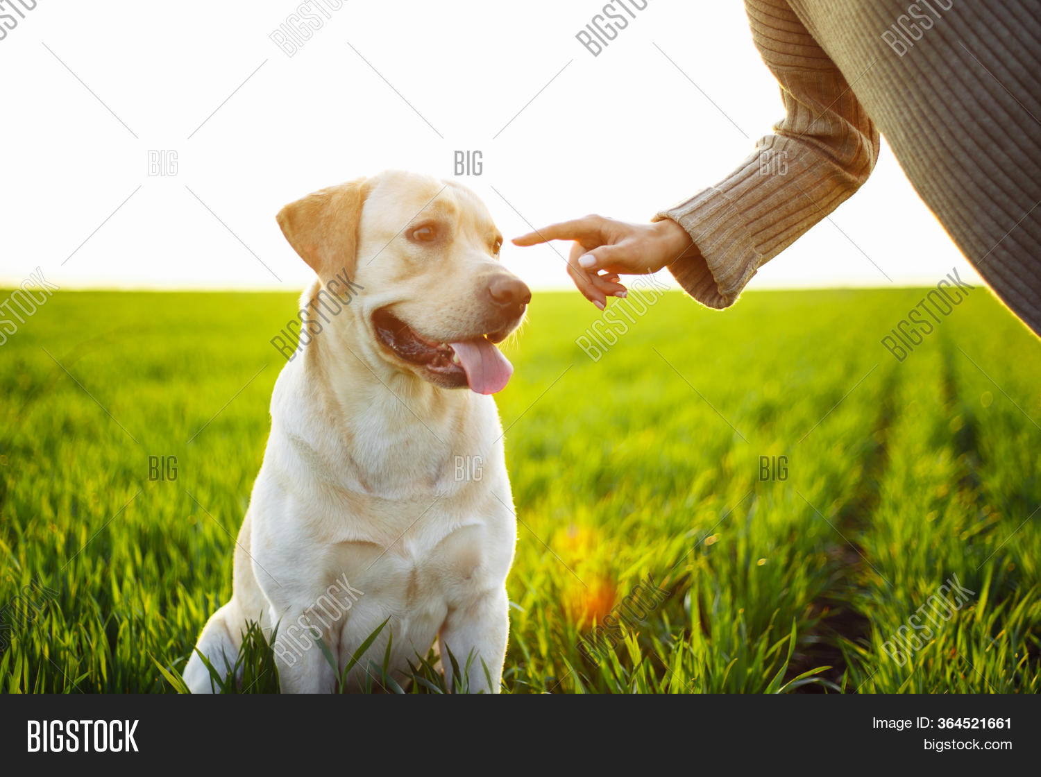 Closeup Womans Hand Image & Photo (Free Trial) | Bigstock