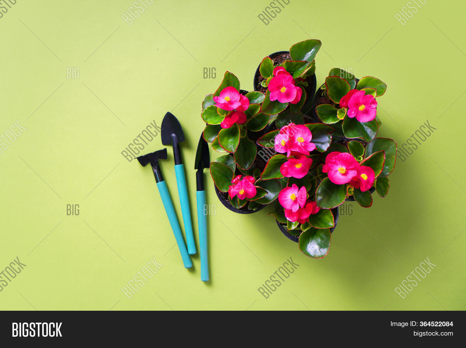 Spring Flowers Pots On Image & Photo (Free Trial) | Bigstock