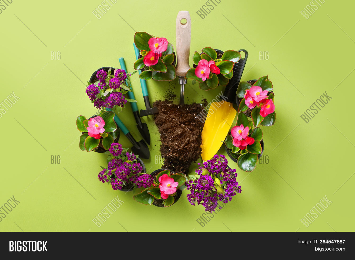Spring Flowers Pots, Image & Photo (Free Trial) | Bigstock