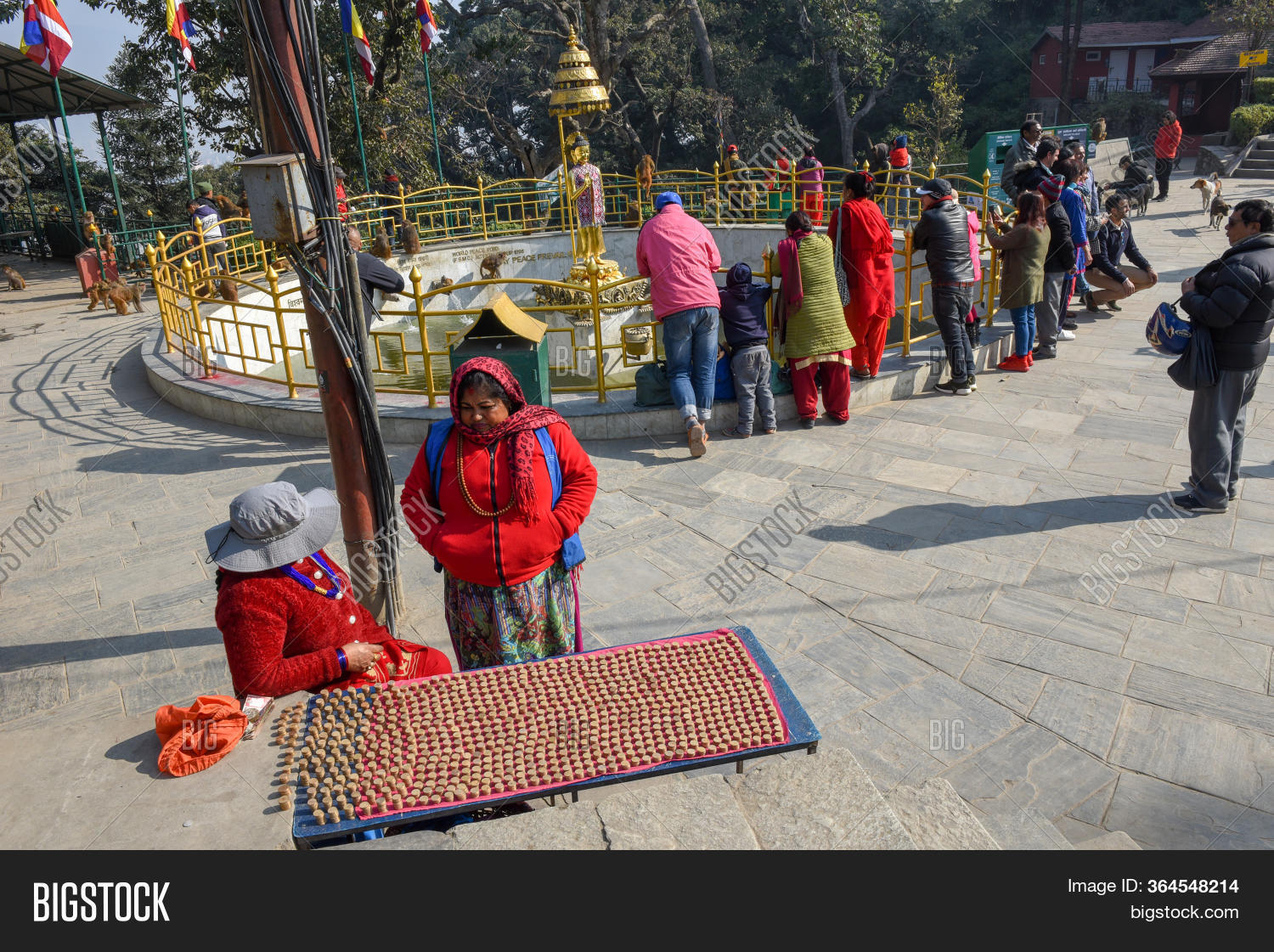 People Throwing Coins Image & Photo (Free Trial) | Bigstock
