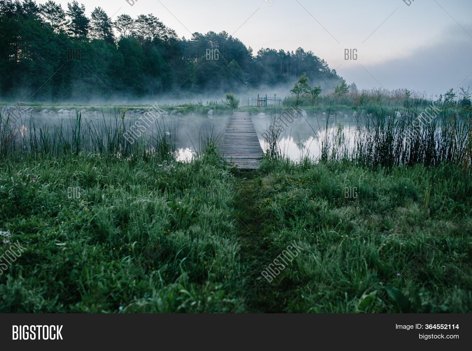 Fog, Grass, Trees Image & Photo (Free Trial) | Bigstock