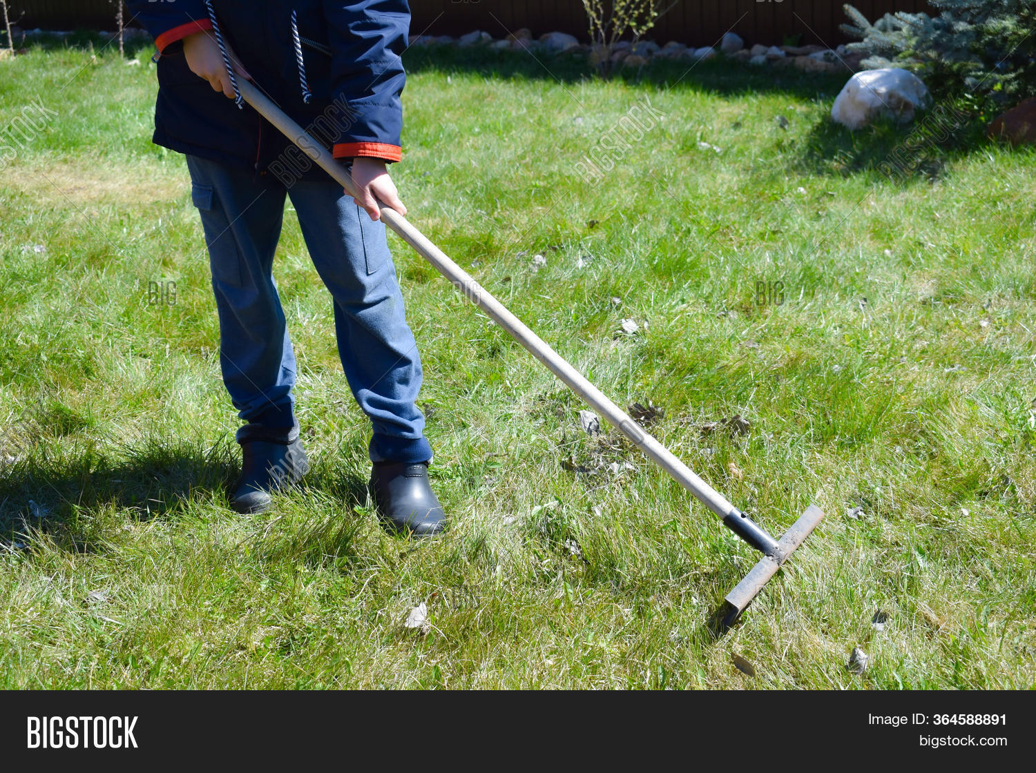 Boy Rake Garden. Child Image & Photo (Free Trial) | Bigstock